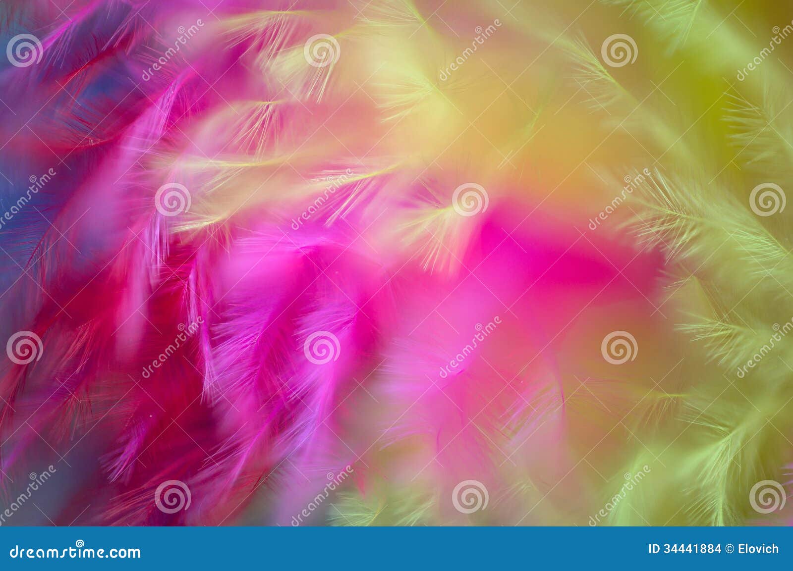 Colored Feathers Abstract Background Stock Illustration - Illustration ...
