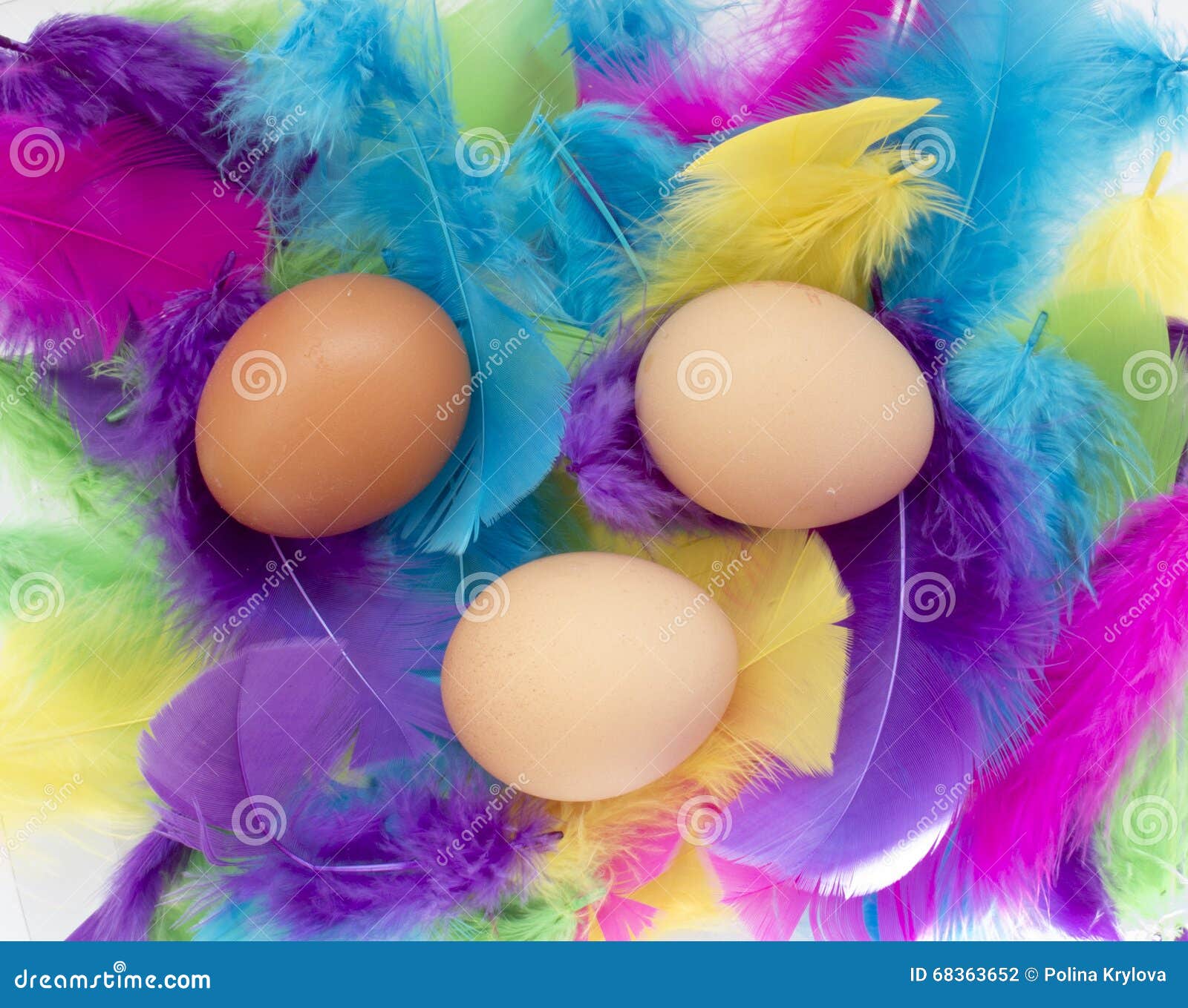 Colored Feathers and Eggs, Interesting Background about Easter Stock ...