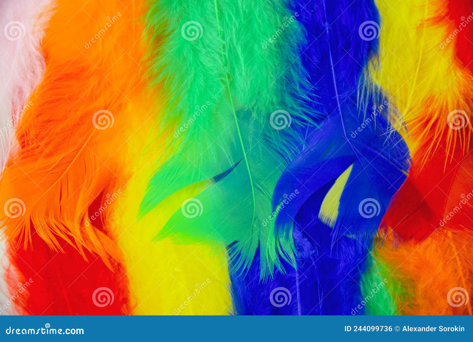 Colored Feathers in Various Combinations, Children`s Toy Stock Photo ...