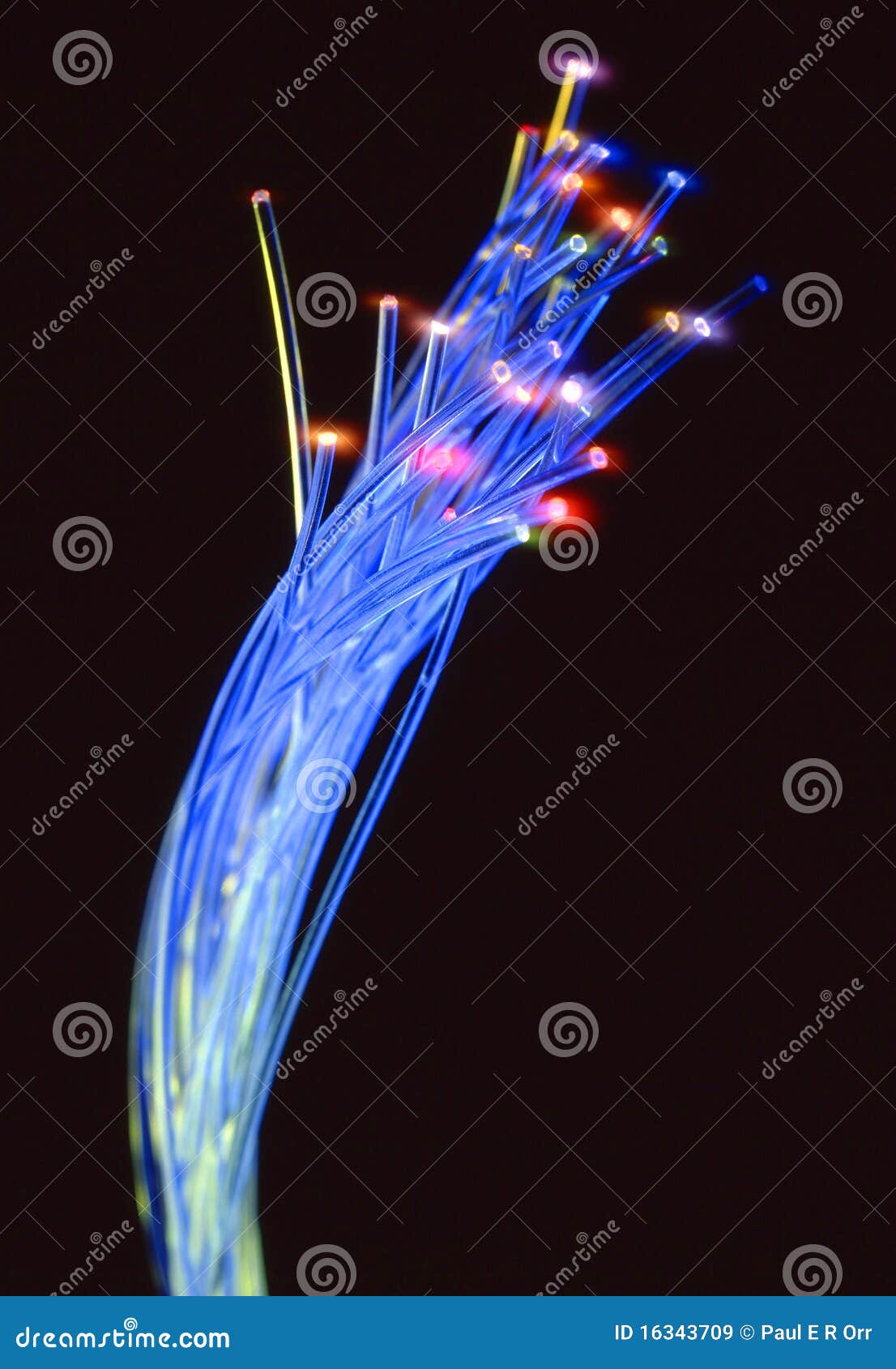 Fiber Optic Cables Connected To An Optic Ports And UTP Network Cables ...