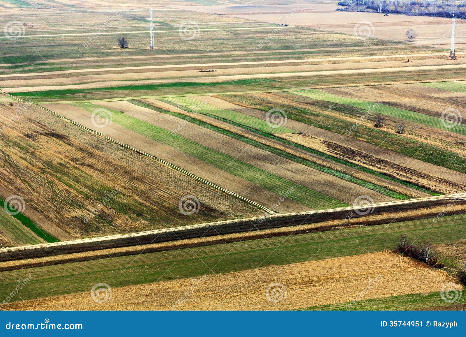 Colored Field Seen from Above Stock Image - Image of nature, vegetation ...