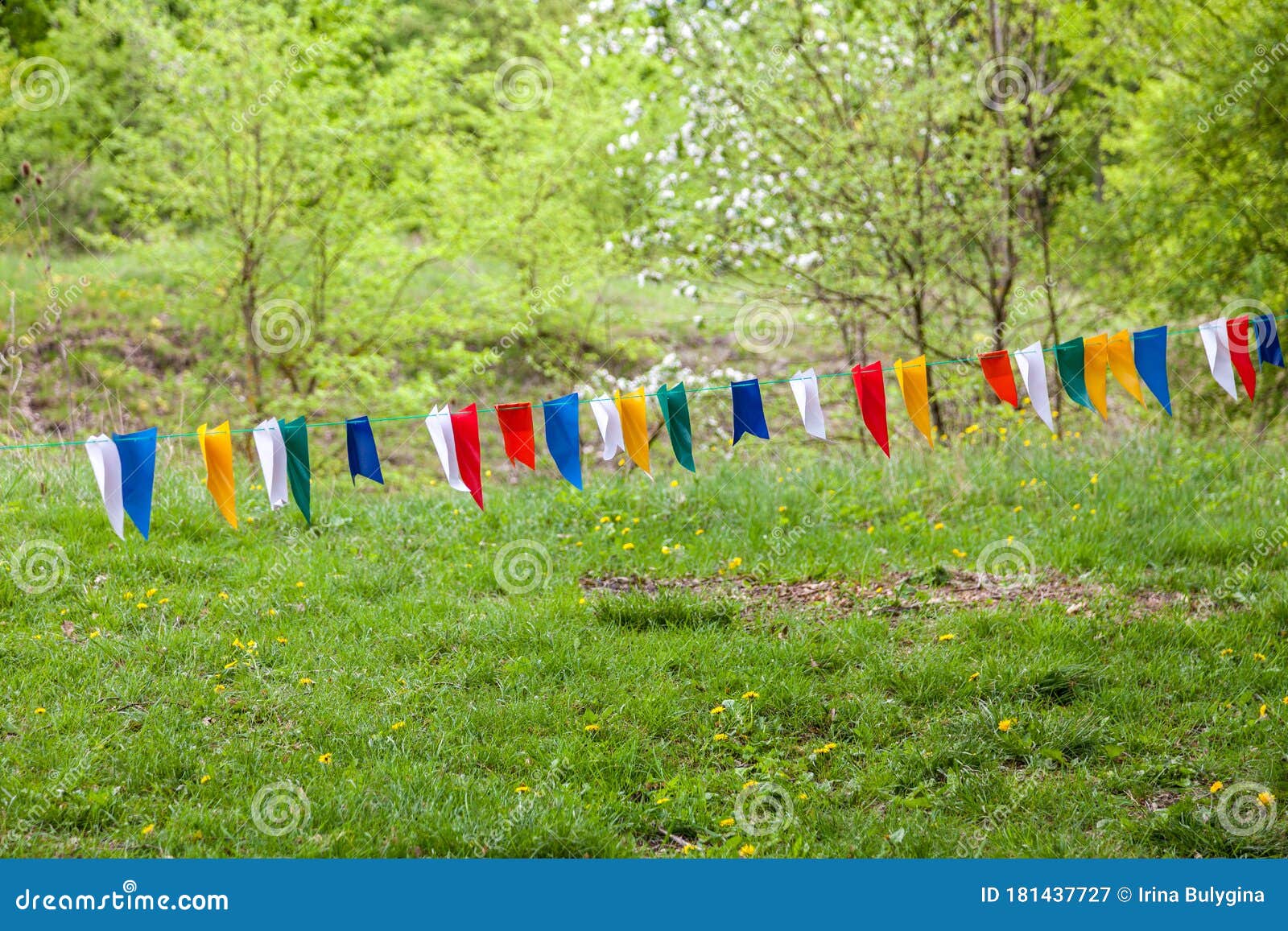 Colored Flags Hanging on a Rope between Tree Branches in a Forest Stock ...