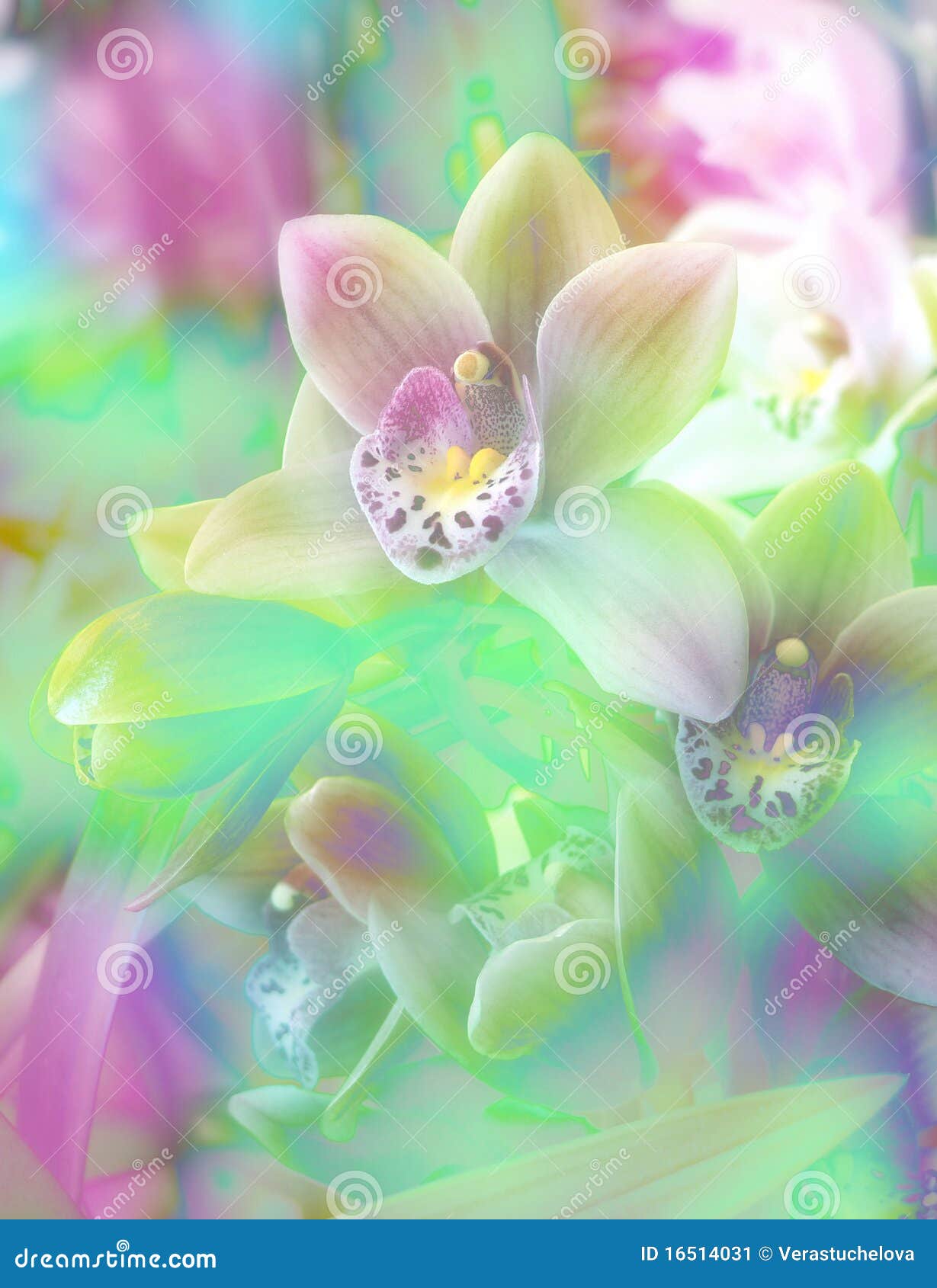 Colored Floral Background with Orchid Stock Illustration - Illustration ...