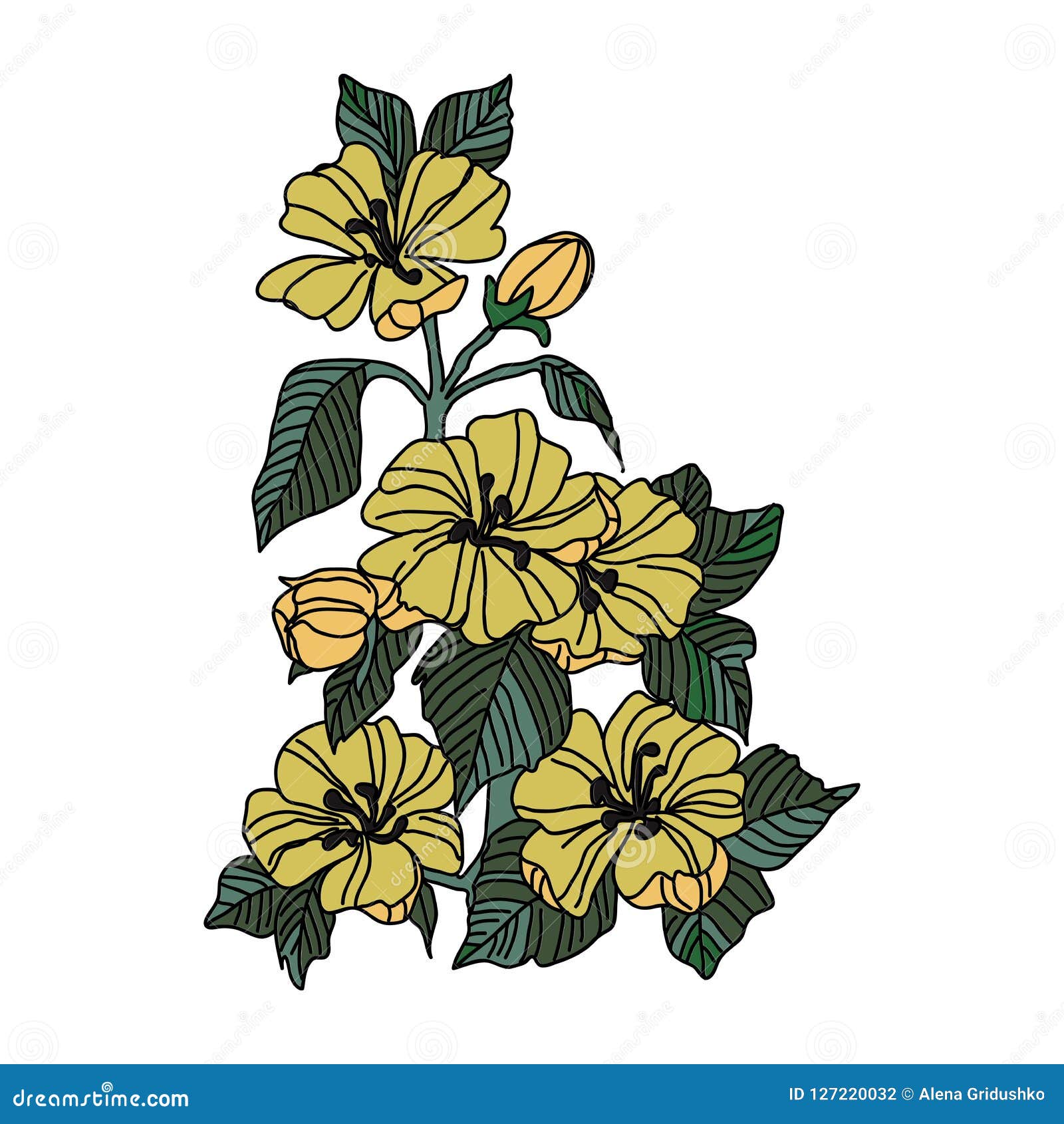 Colored Flowers Drawing with Line-art on White Backgrounds Stock Vector ...