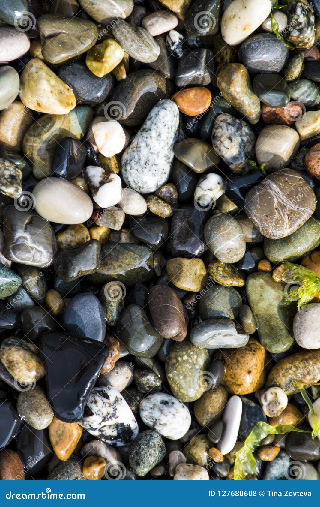 Colored gravel pebbles stock photo. Image of close, colored - 127680608