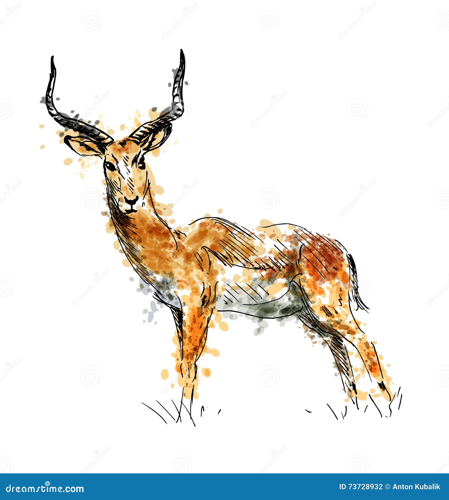 Colored Hand Drawing Antelope Stock Vector - Illustration of safari ...