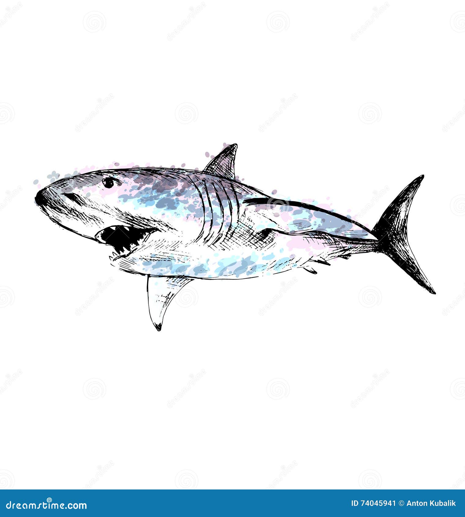Colored Hand Drawing of a Shark Stock Vector - Illustration of sketch ...