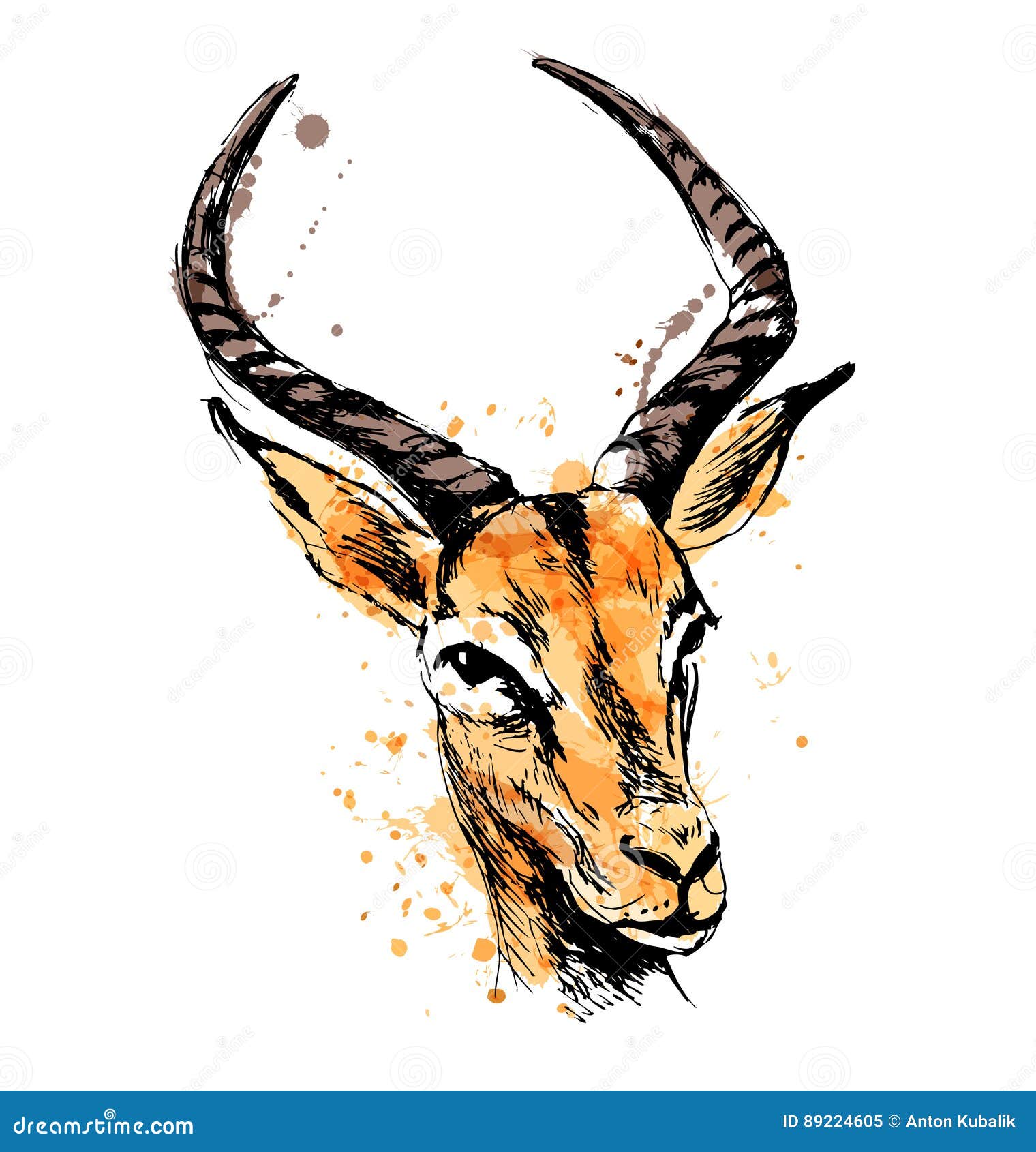 Colored Hand Sketch Antelope Head Stock Vector - Illustration of linear ...