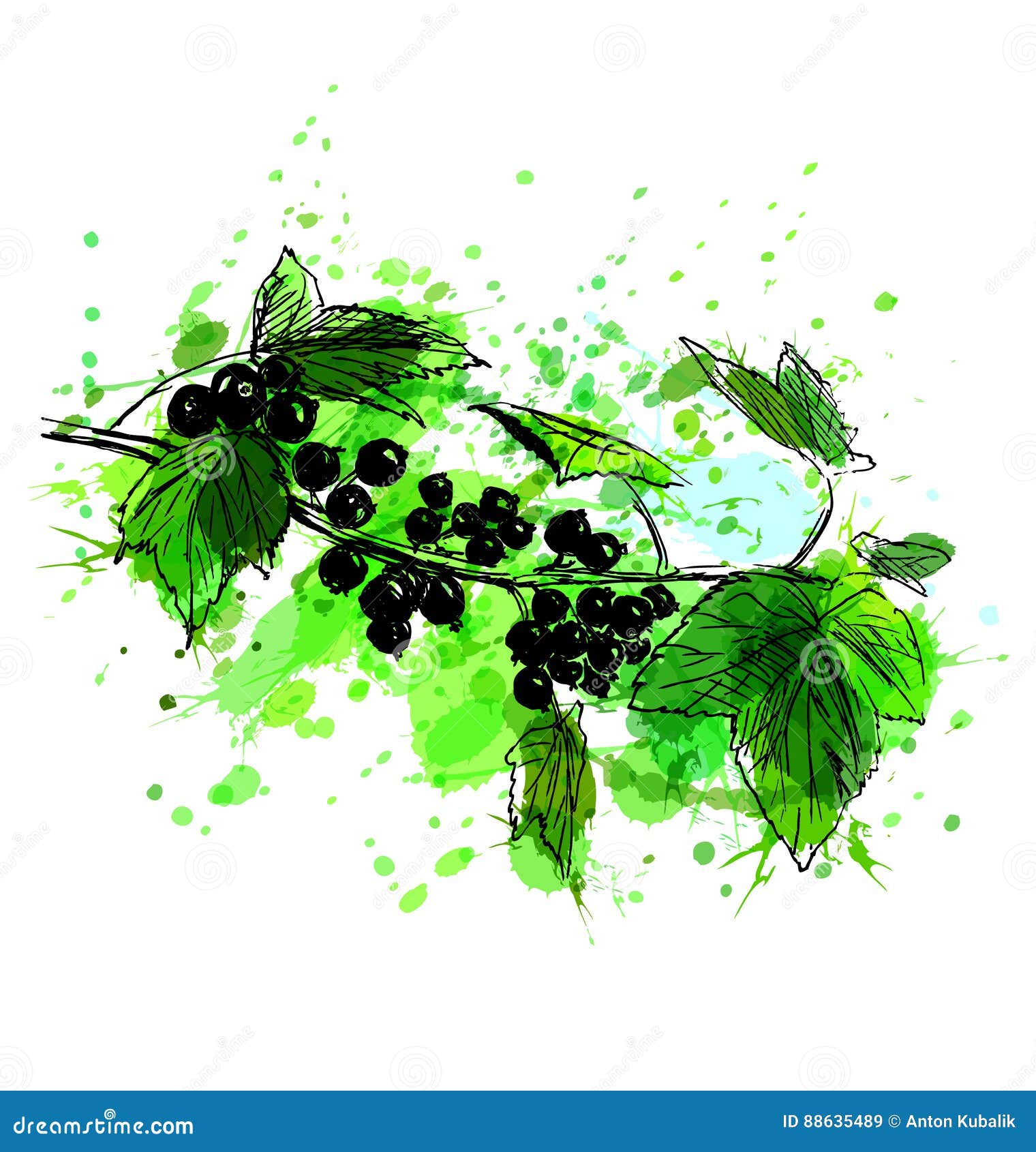 Colored Hand Sketch Blackcurrant Cartoon Vector | CartoonDealer.com ...