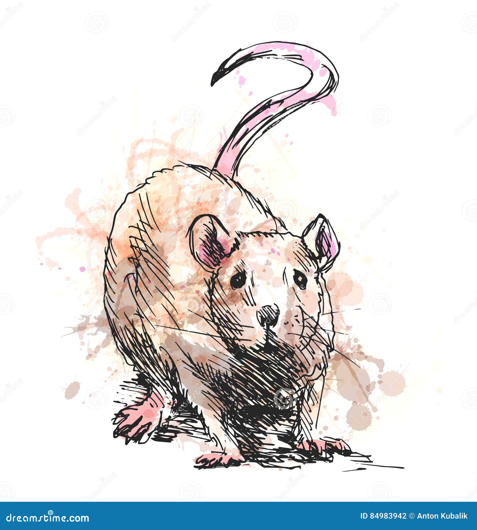Colored hand sketch rat stock vector. Illustration of rattus - 84983942
