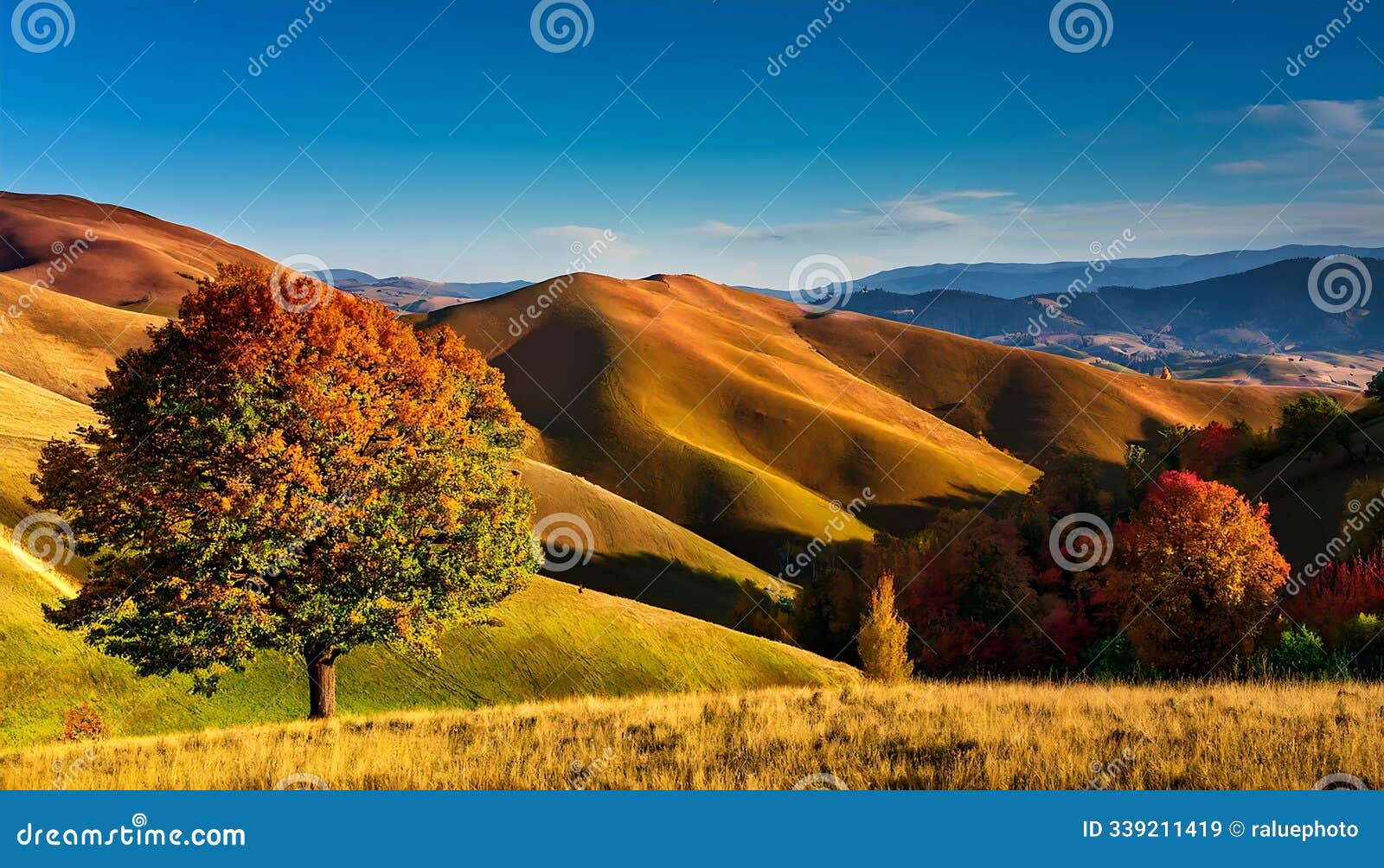 Colored Hills, Trees and a Tree in the Foreground Stock Illustration ...
