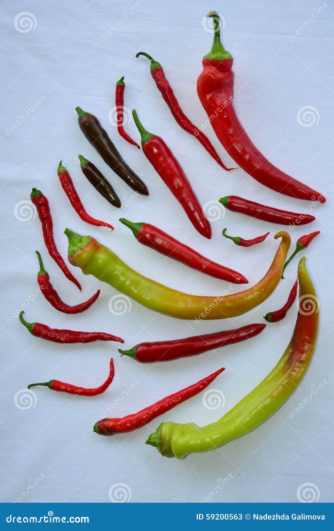 Colored Hot Peppers Closeup Stock Image - Image of white, plant: 59200563