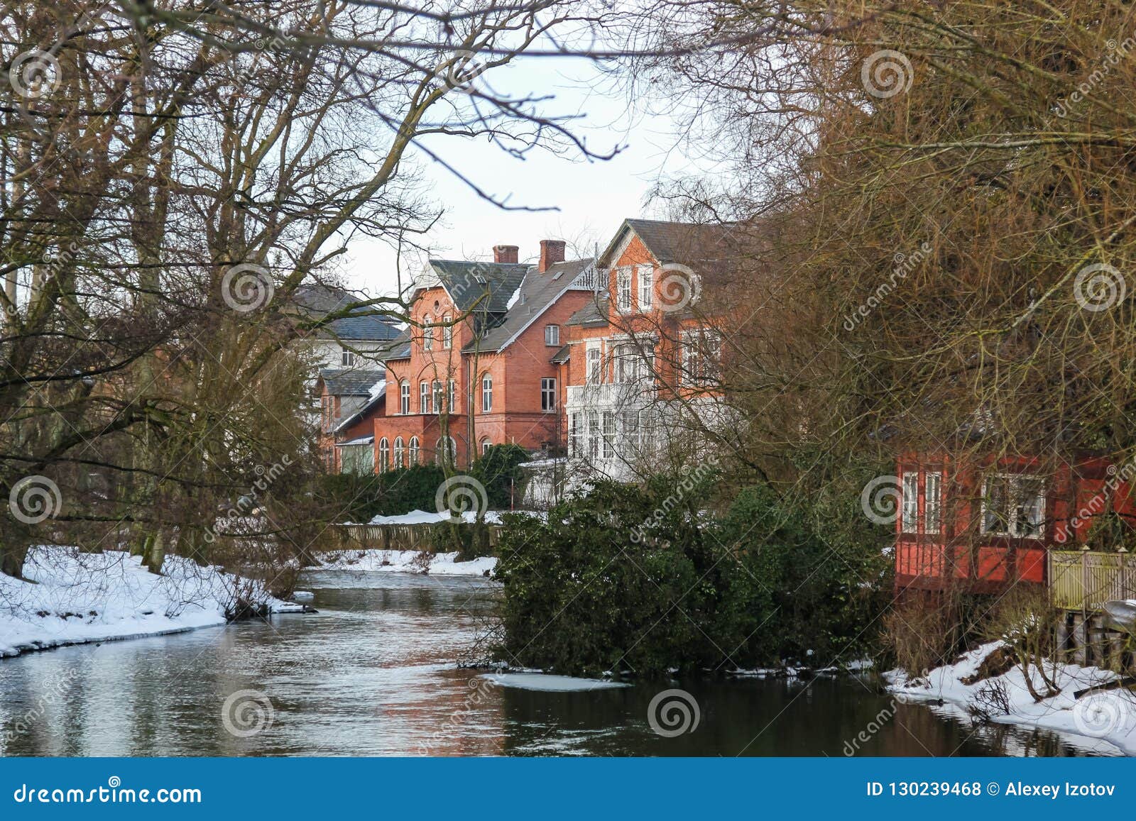 Colored Houses and Trees Standing on the Banks of a River in Odense ...