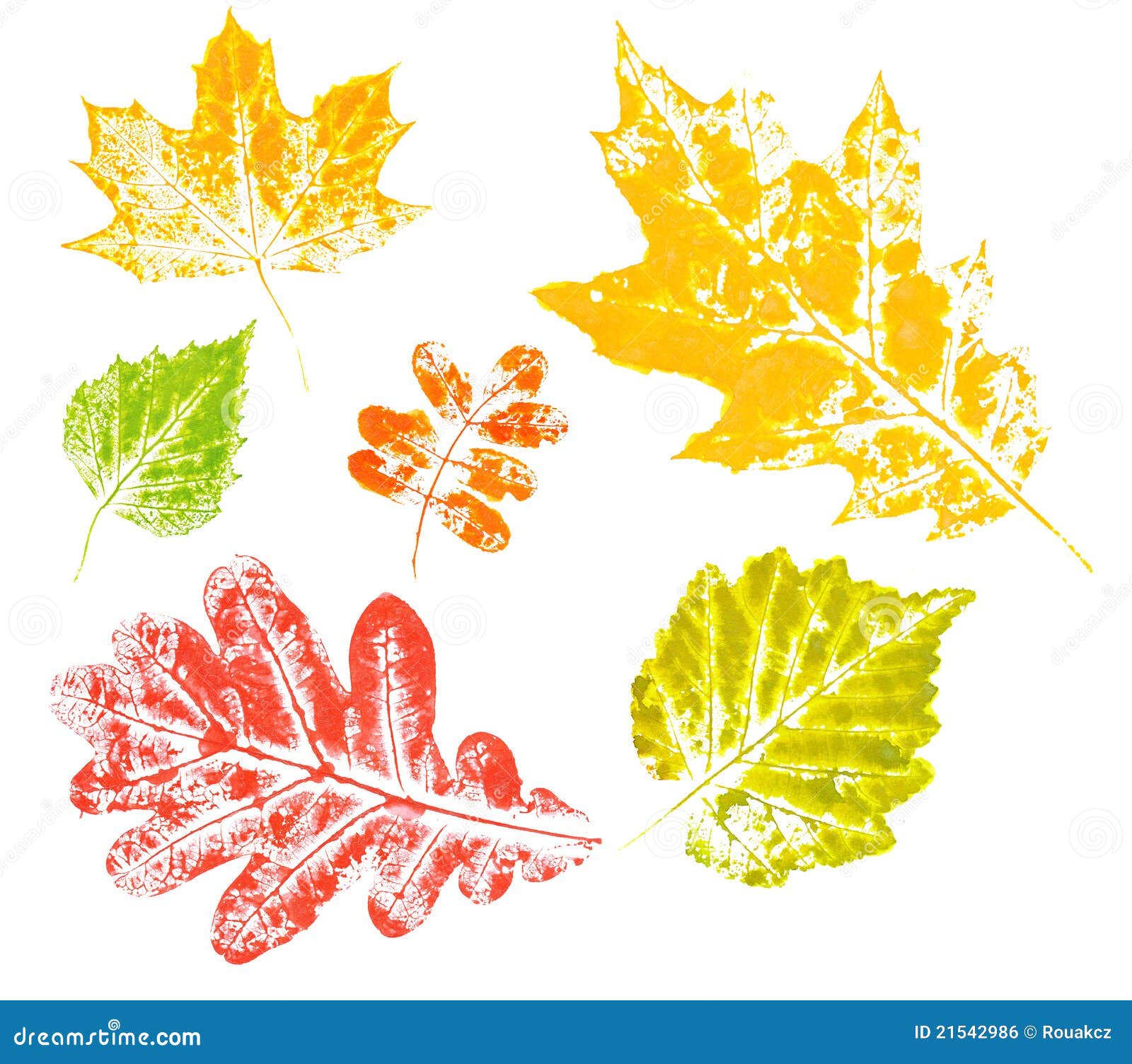 Leaves Set Isolated On White Background Vector Illustration ...