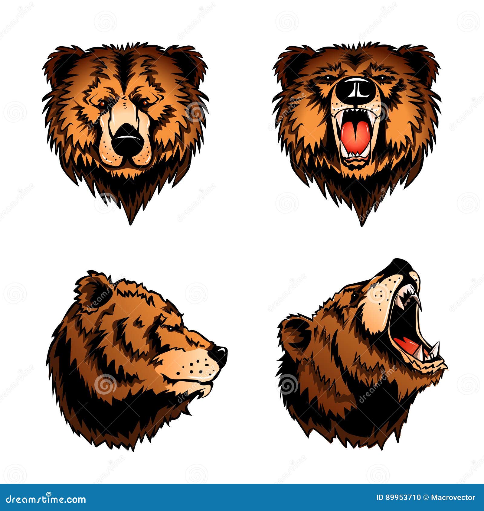 Colored Isolated Bear Heads Stock Vector - Illustration of front, icons ...