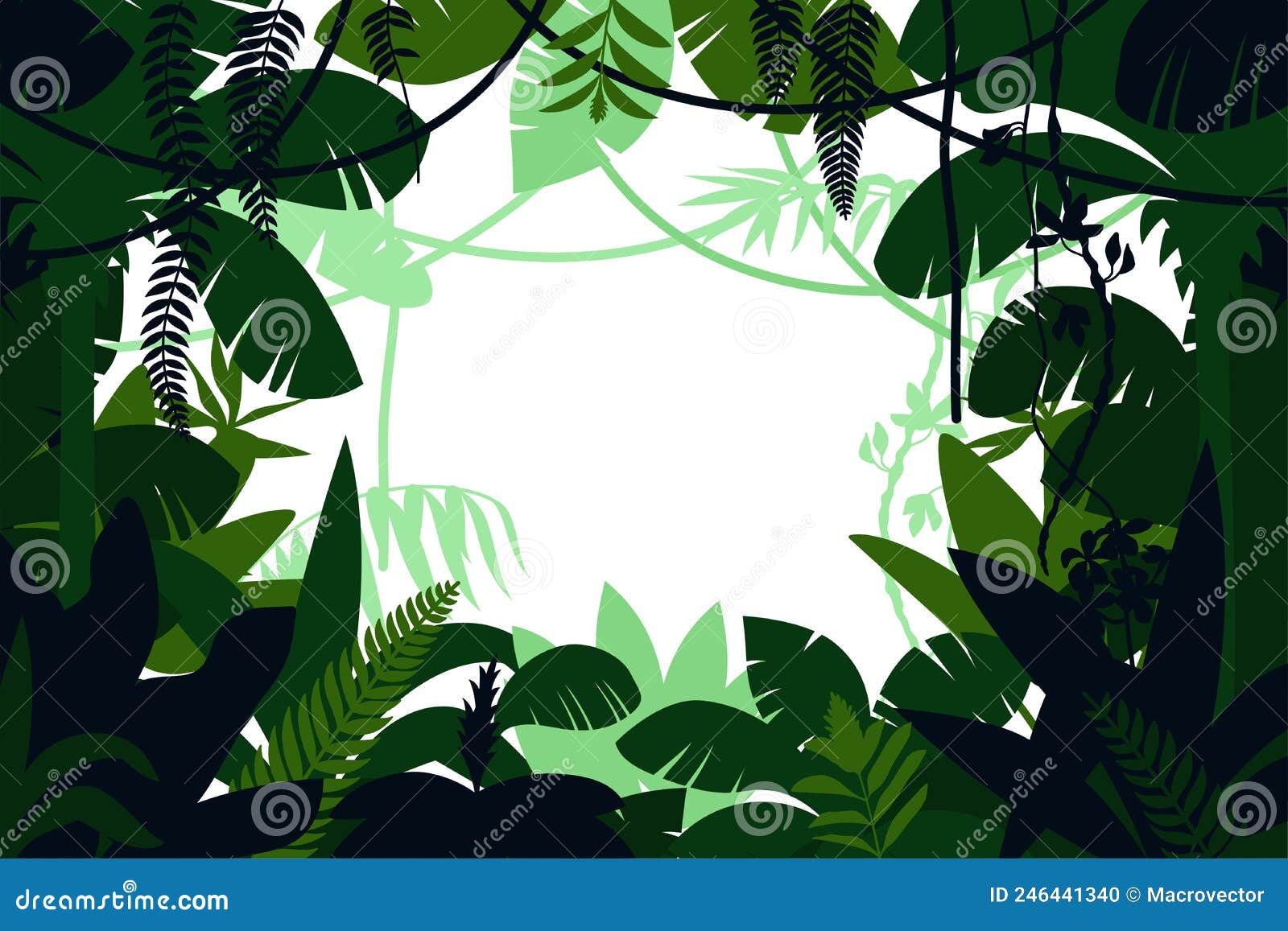 Colored Jungle Frame stock vector. Illustration of tropic - 246441340