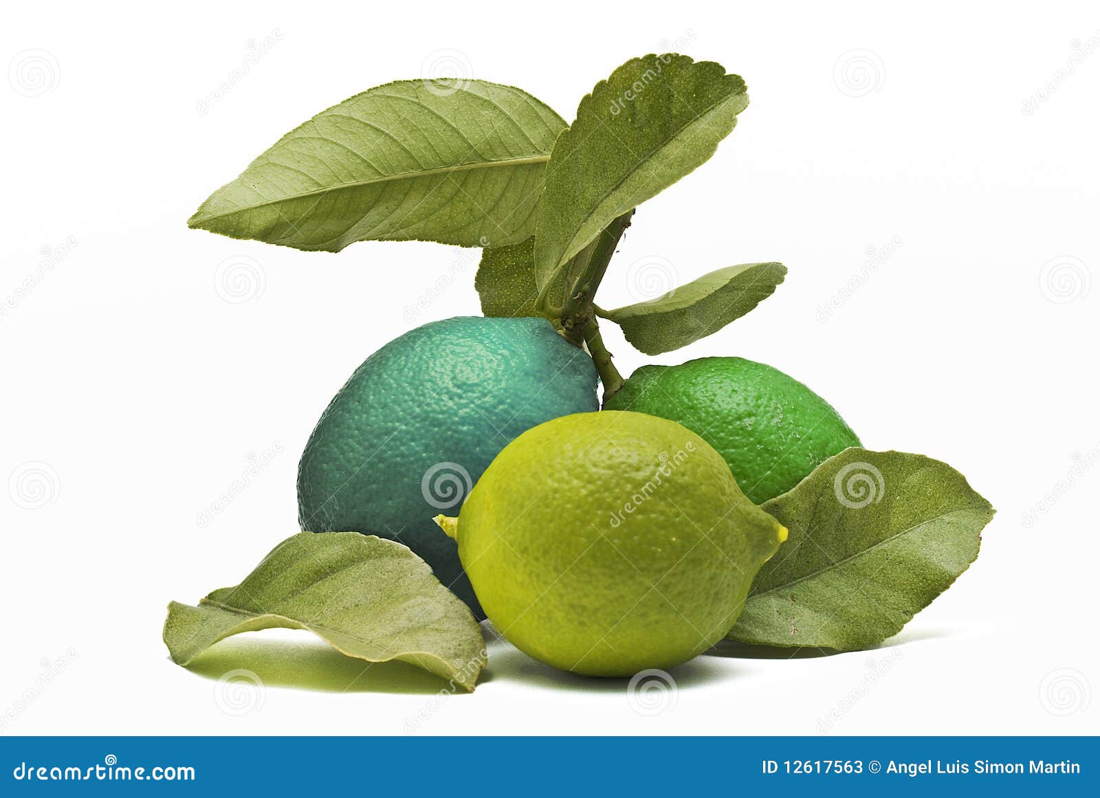 Colored lemons. stock image. Image of harvesting, acid - 12617563