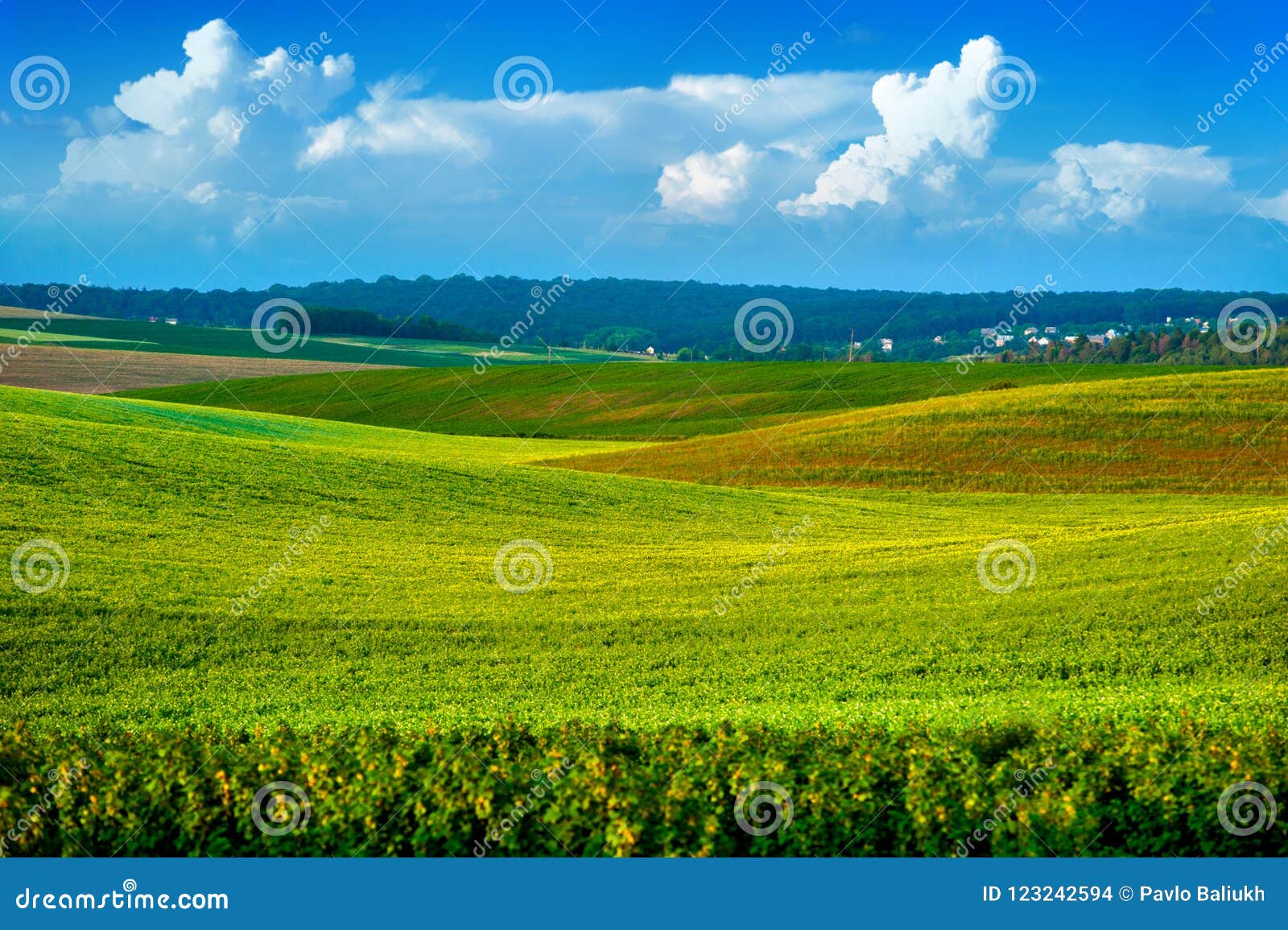 Lines of the Slopes of Fields of Agricultural Crops Stock Photo - Image ...