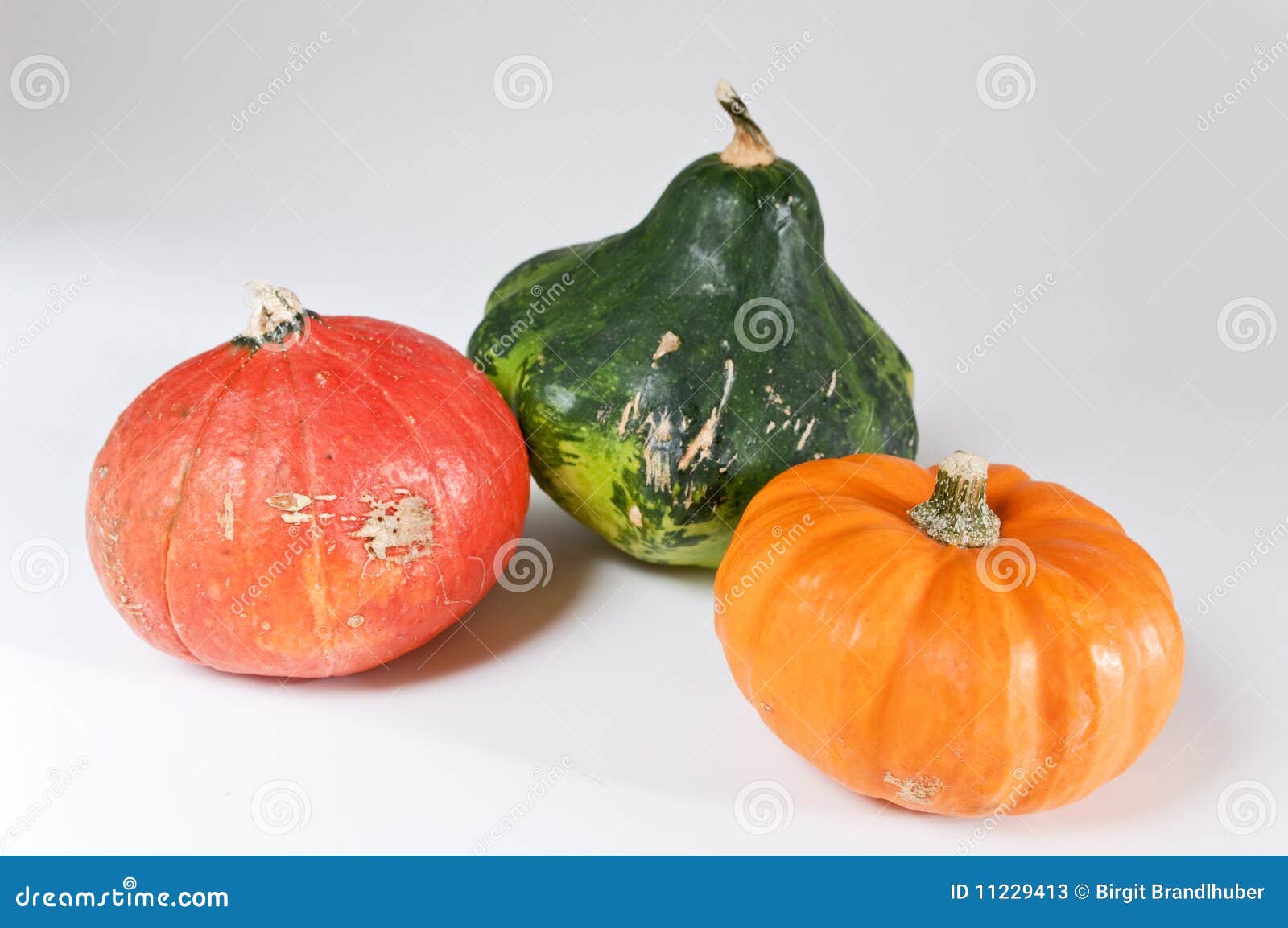 Colored mini pumpkins stock image. Image of multi, isolated - 11229413