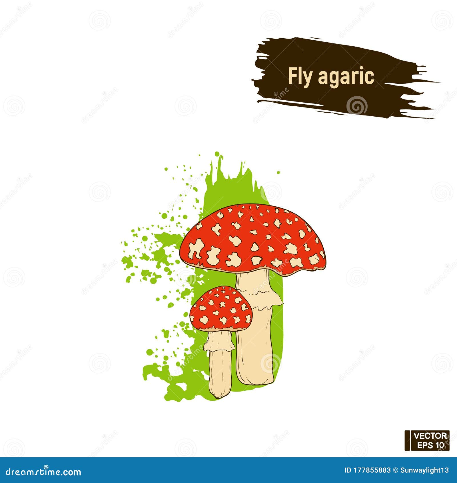 Colored Mushrooms, Fly Agaric Sketch Stock Vector - Illustration of ...