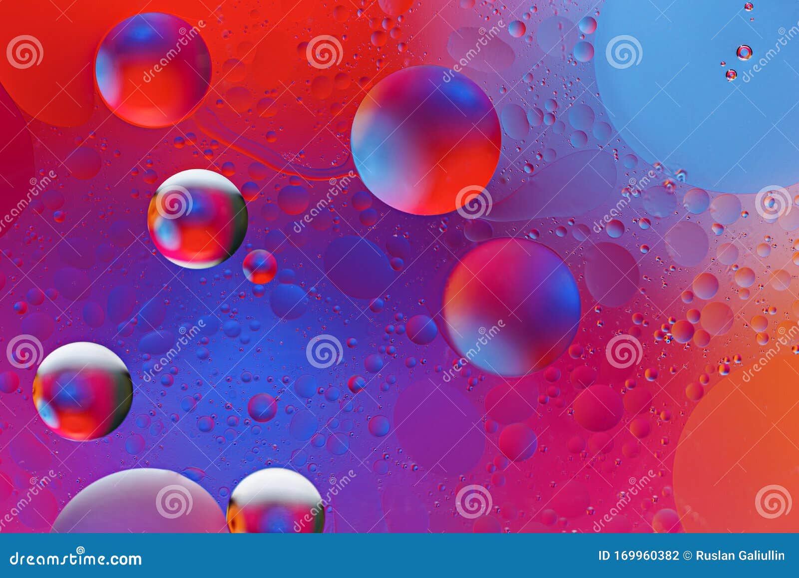 Colored Neon Bubbles on Gradient Background Stock Photo - Image of ...