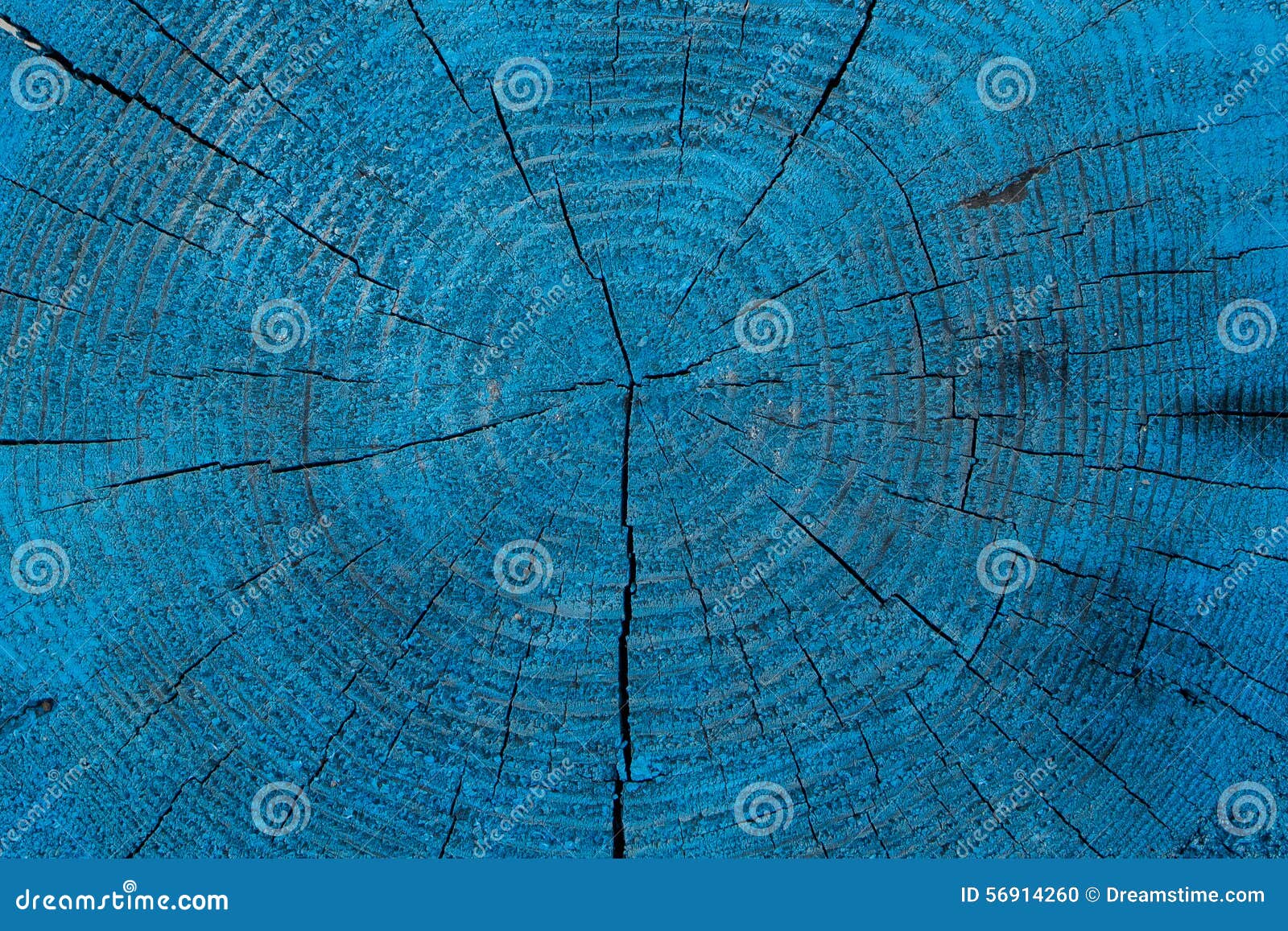 Colored Old Log, Annual Ring Stock Photo - Image of rough, construction ...