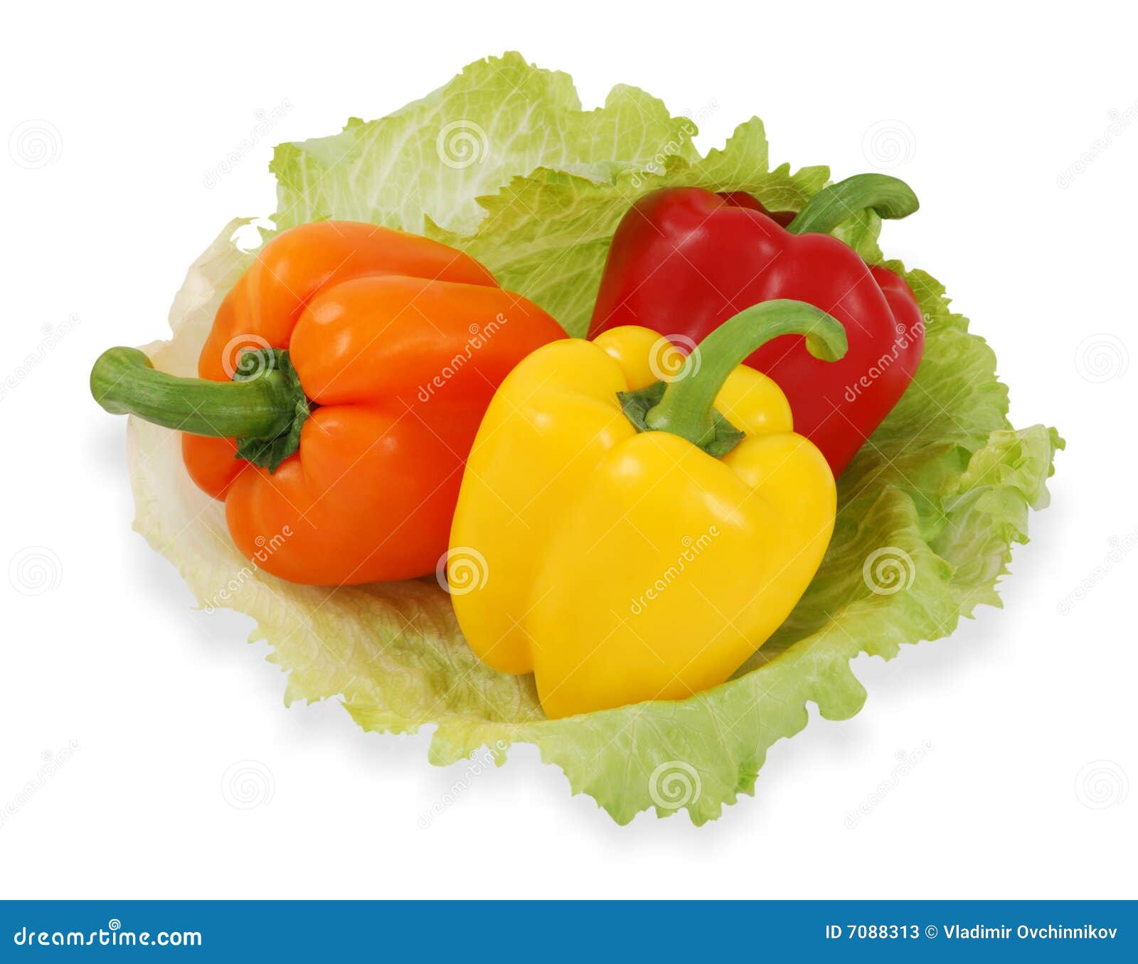 Colored Paprika with Lettuce. Stock Image - Image of food, pepper: 7088313