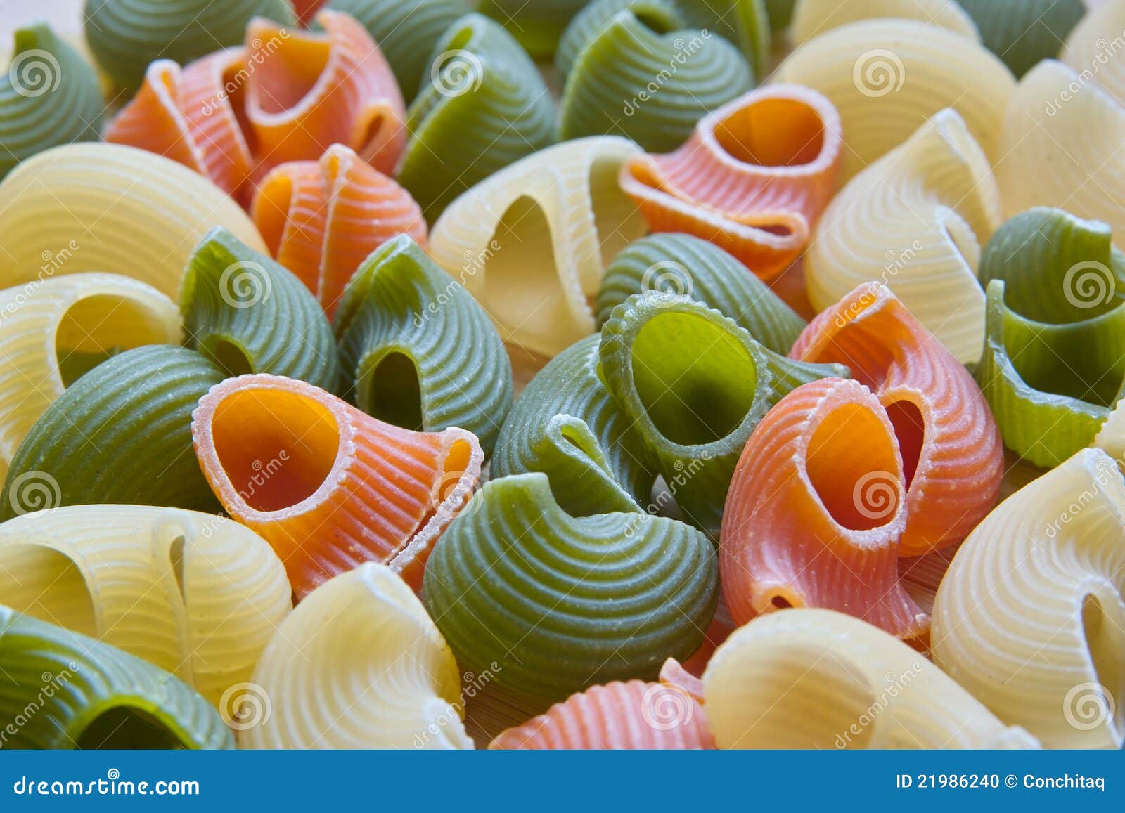 Colored pasta shells stock photo. Image of bolognese - 21986240