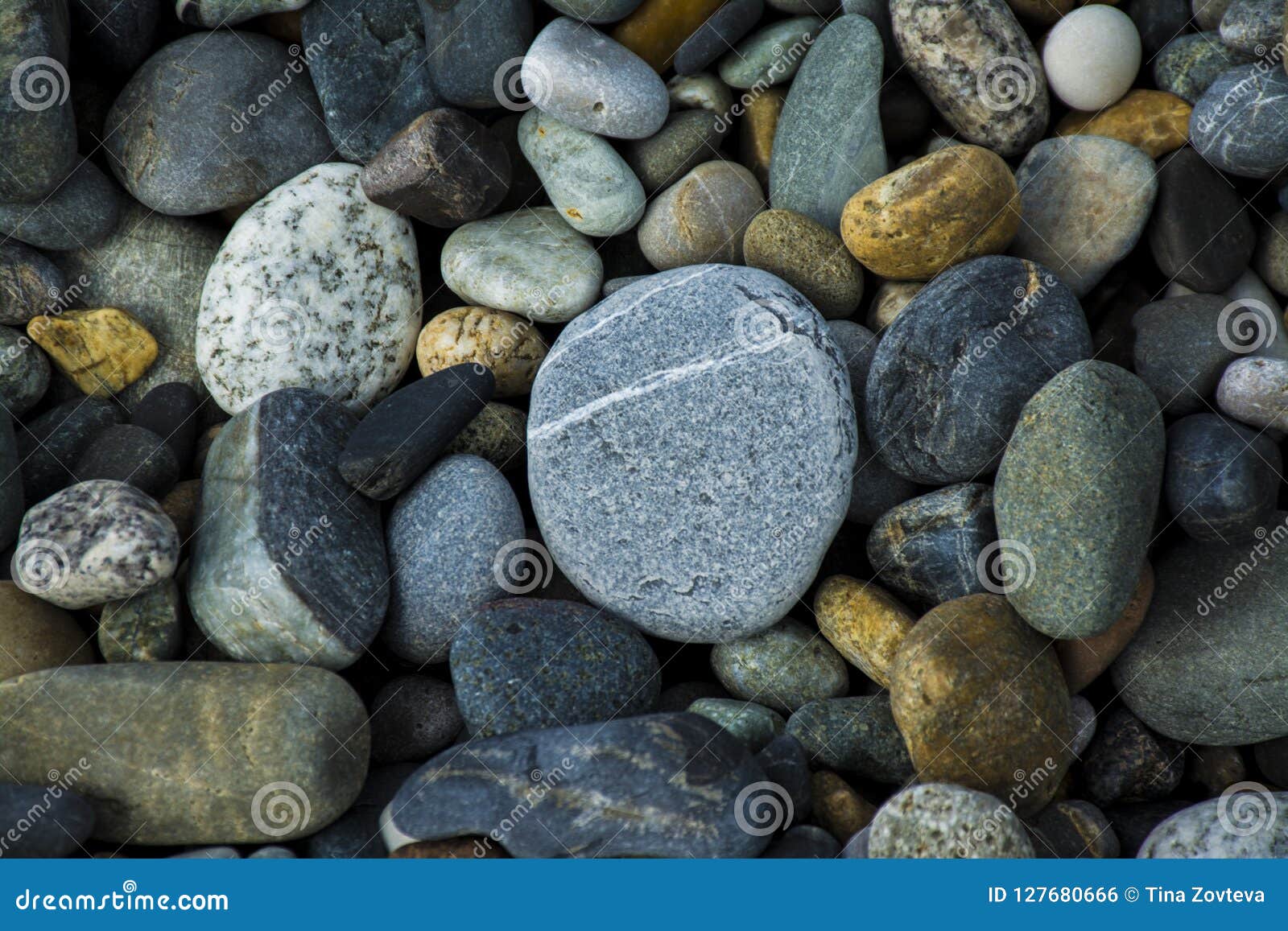 Colored pebbles stock photo. Image of durability, bank - 127680666