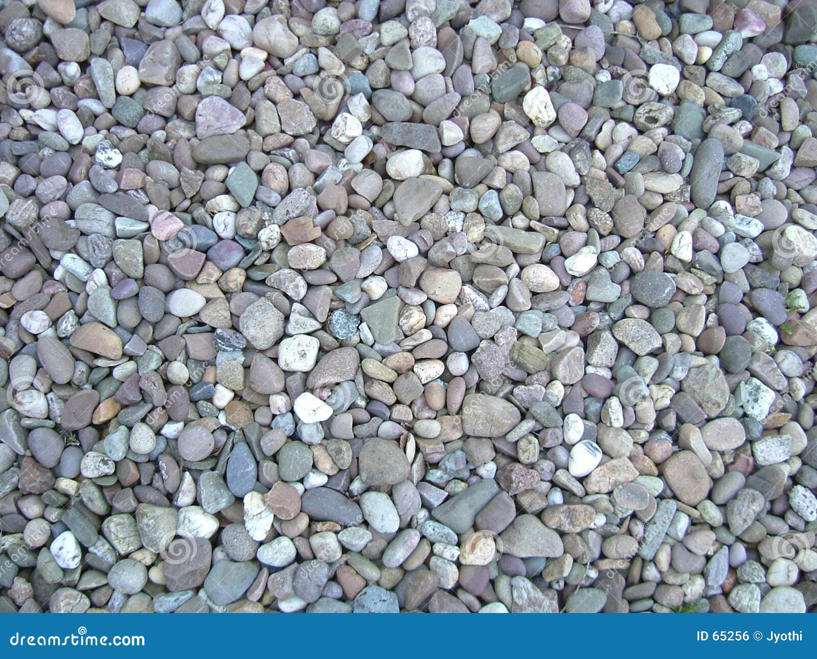 Colored pebbles stock photo. Image of pebbles, nature, earth - 65256