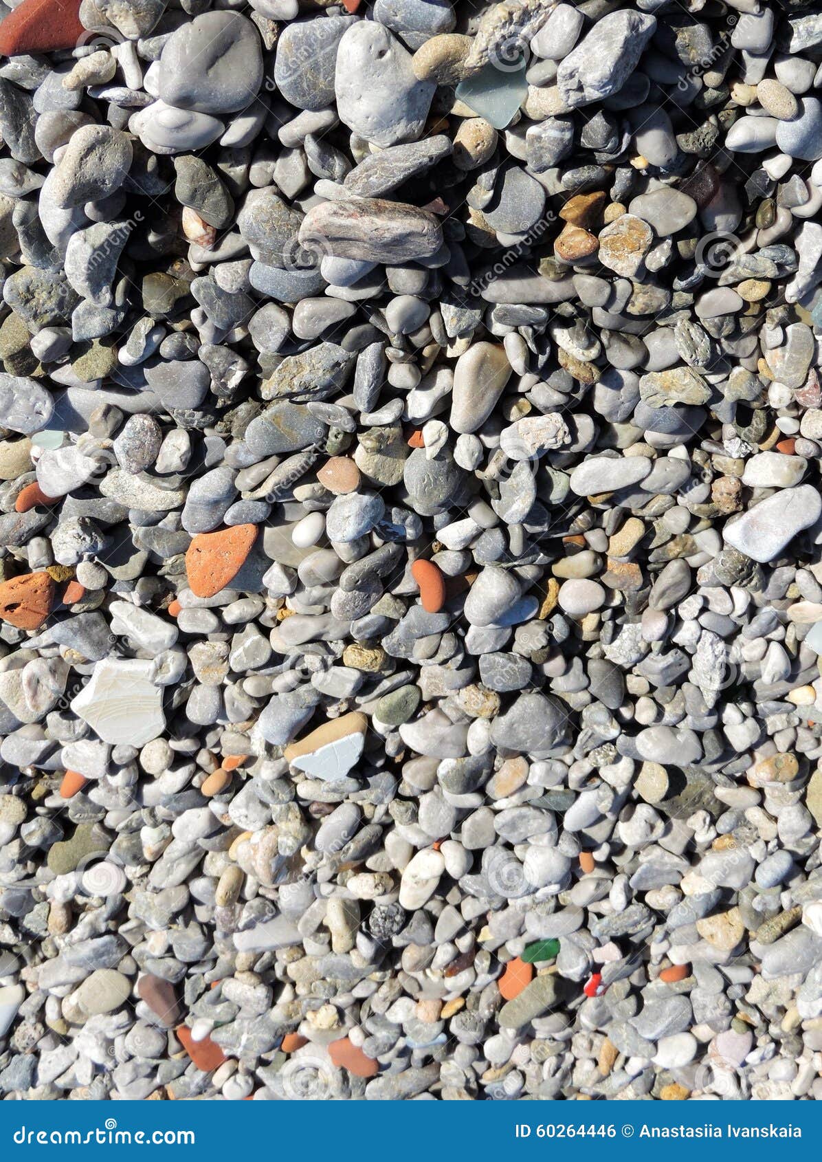 Colored pebbles stock photo. Image of beach, design, abstract - 60264446