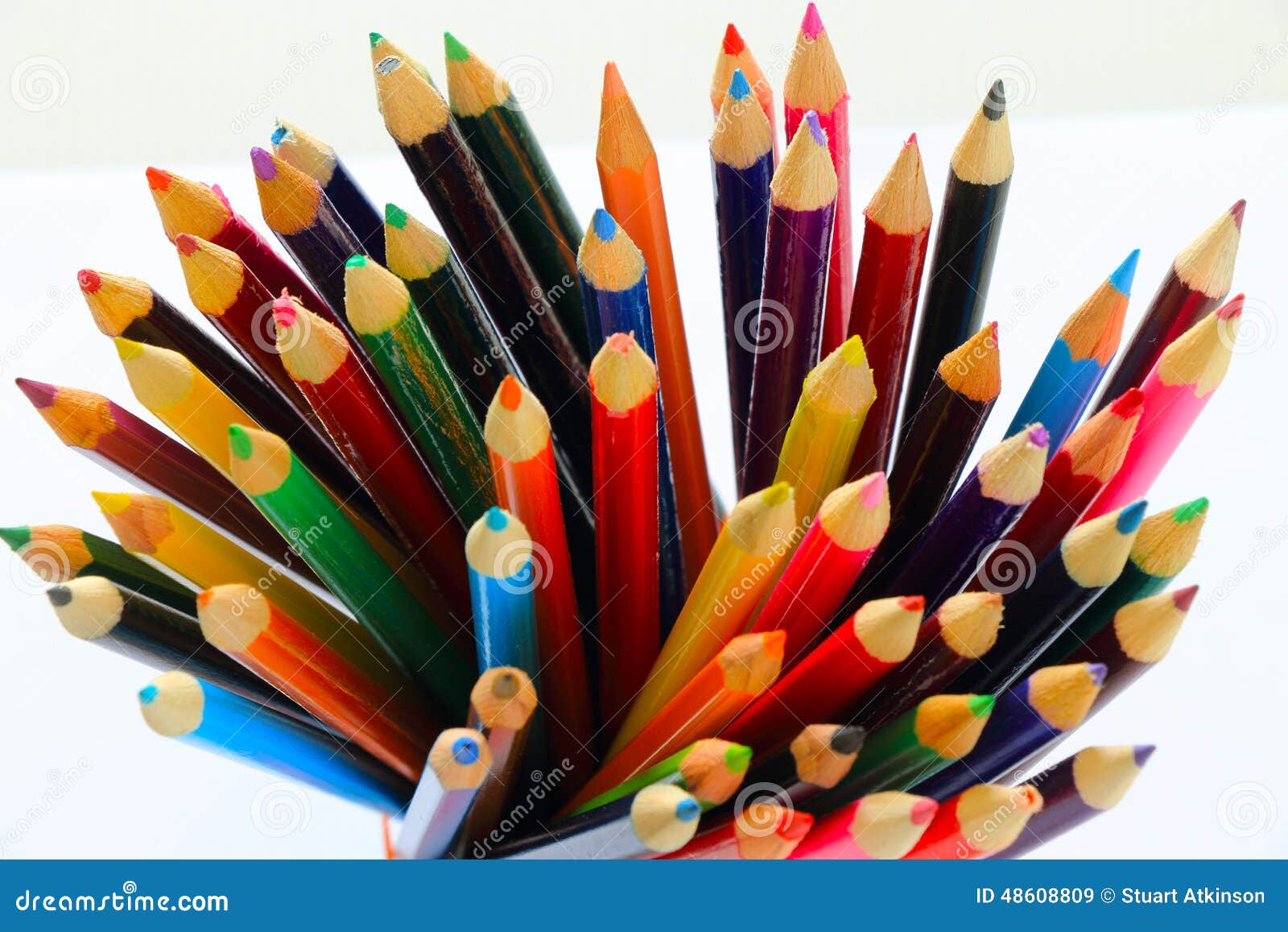 Colored pencil display stock image. Image of group, white - 48608809
