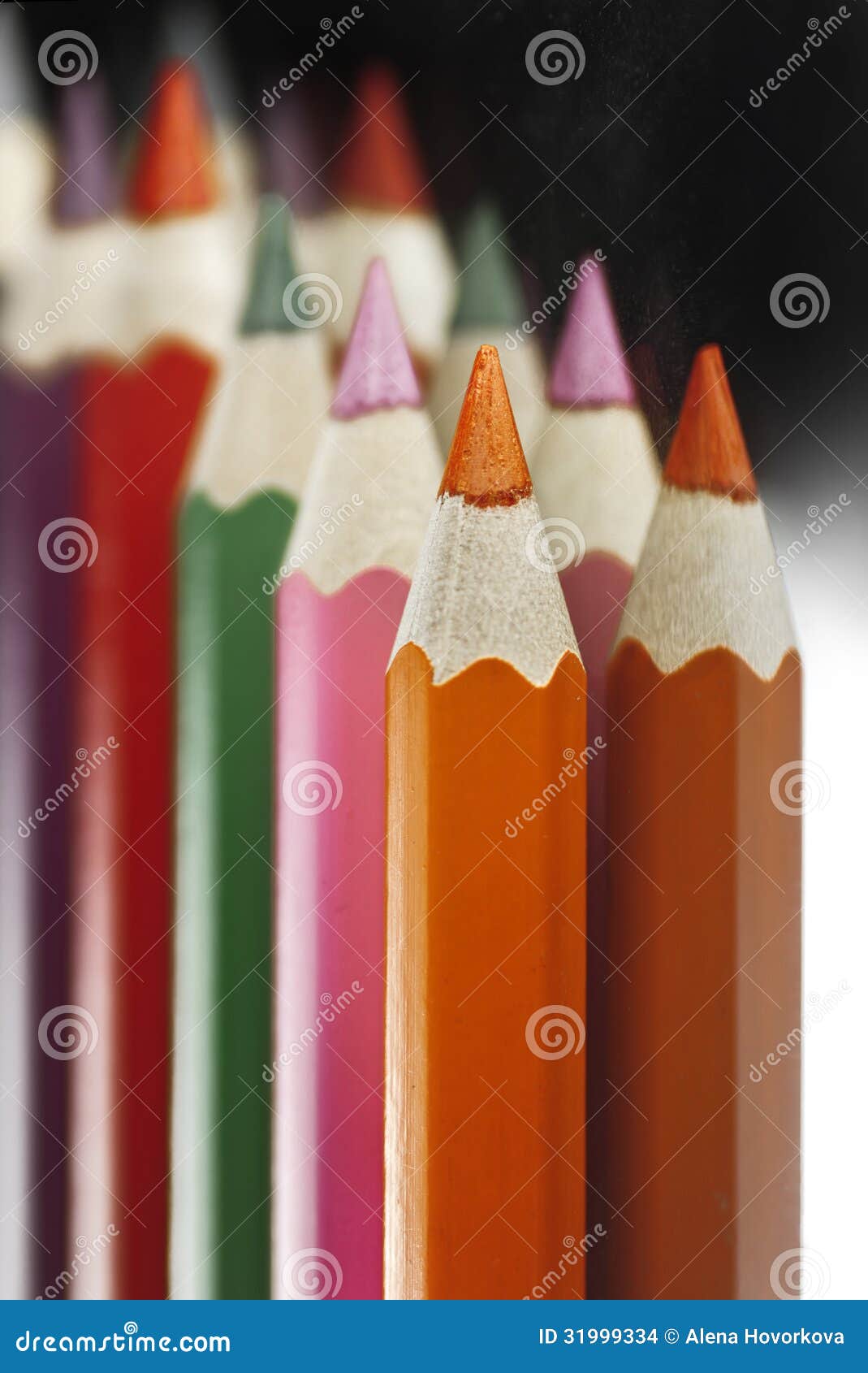 Colored Pencils Aligned in a Row Stock Photo - Image of shadow ...