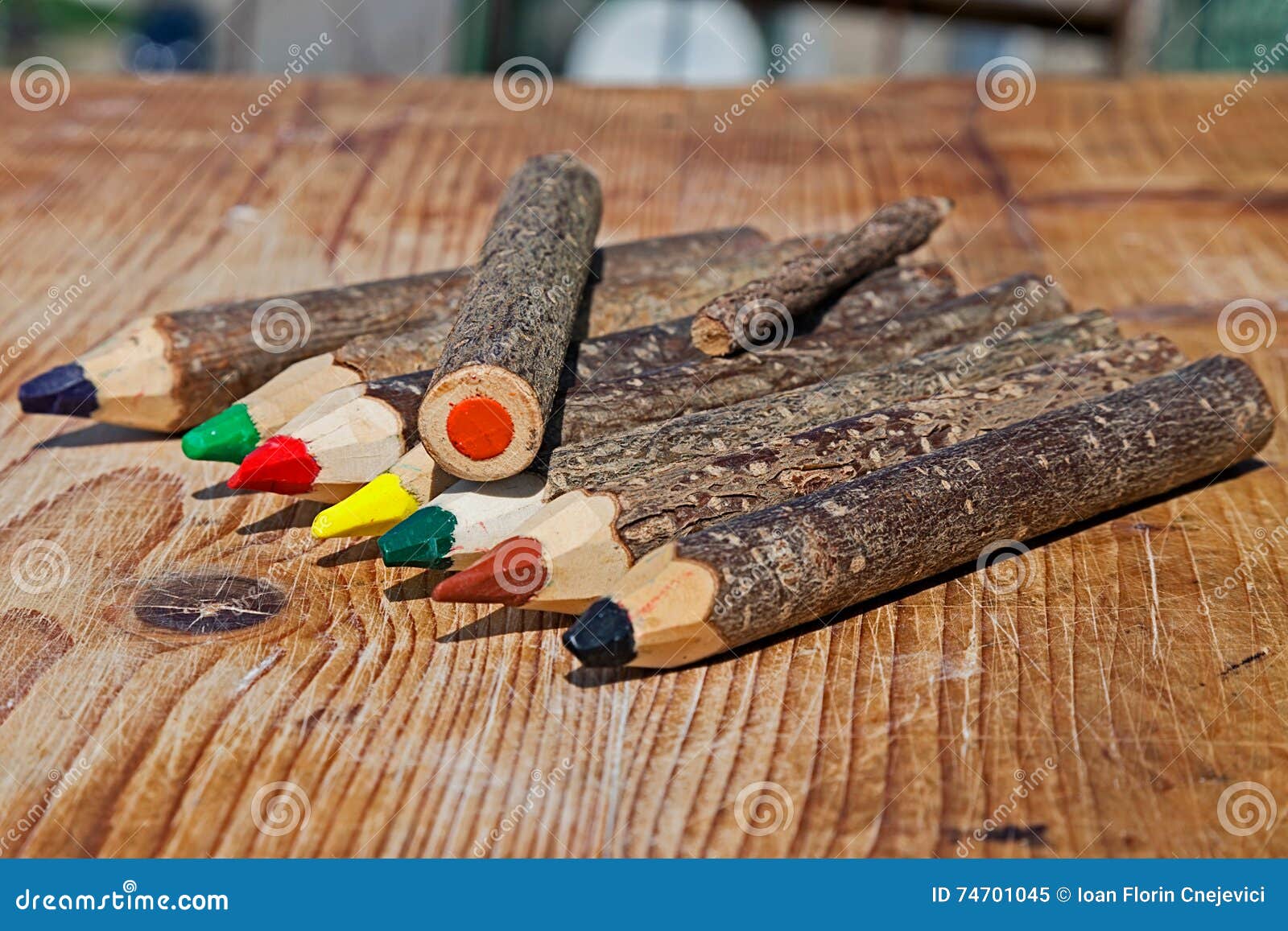 8 Colored Tree Branches Stock Photos - Free & Royalty-Free Stock Photos ...