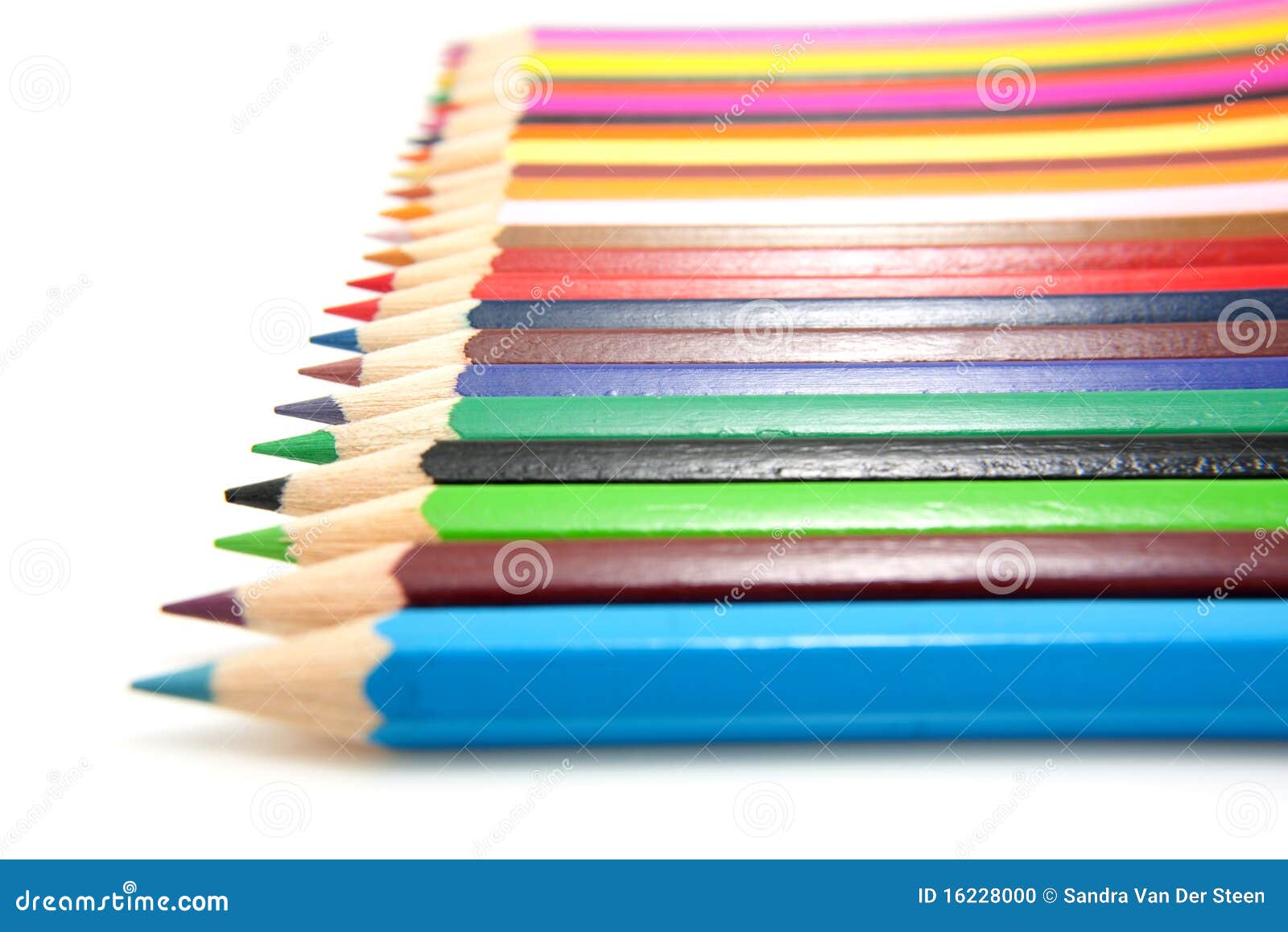 Colored pencils in a row stock photo. Image of colored - 16228000