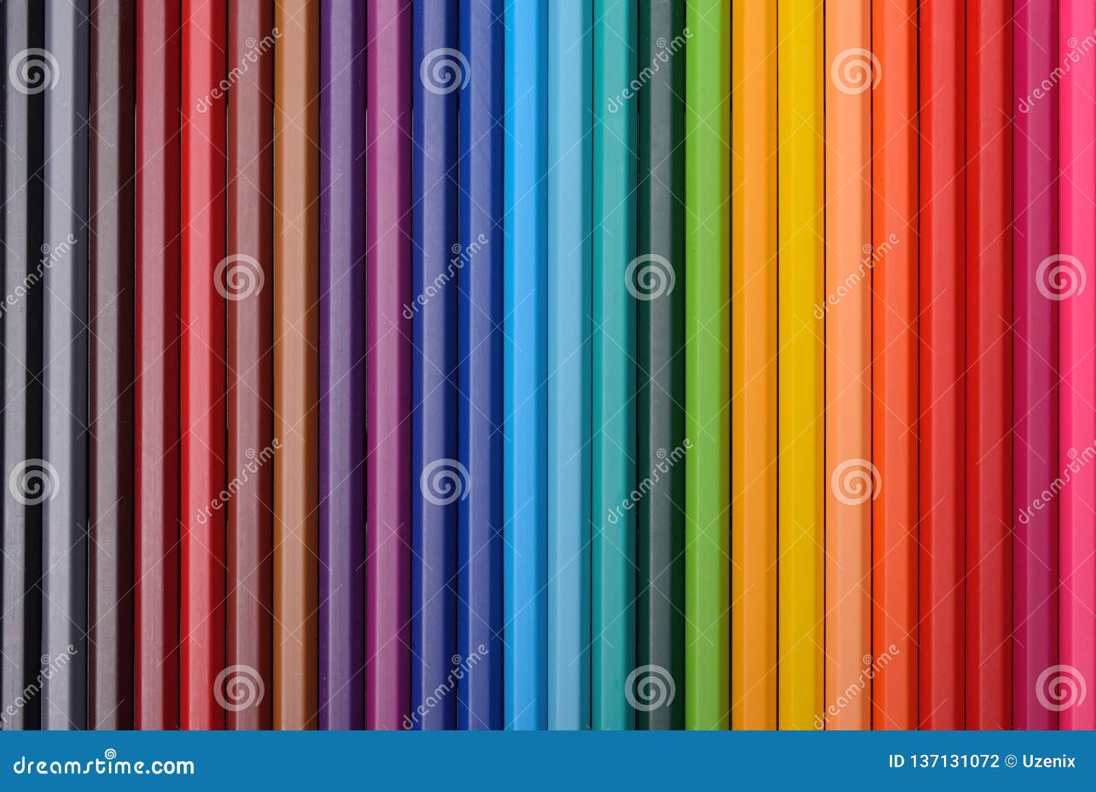The Colored Pencils Which are Laid Out by an Even Layer Stock Photo ...