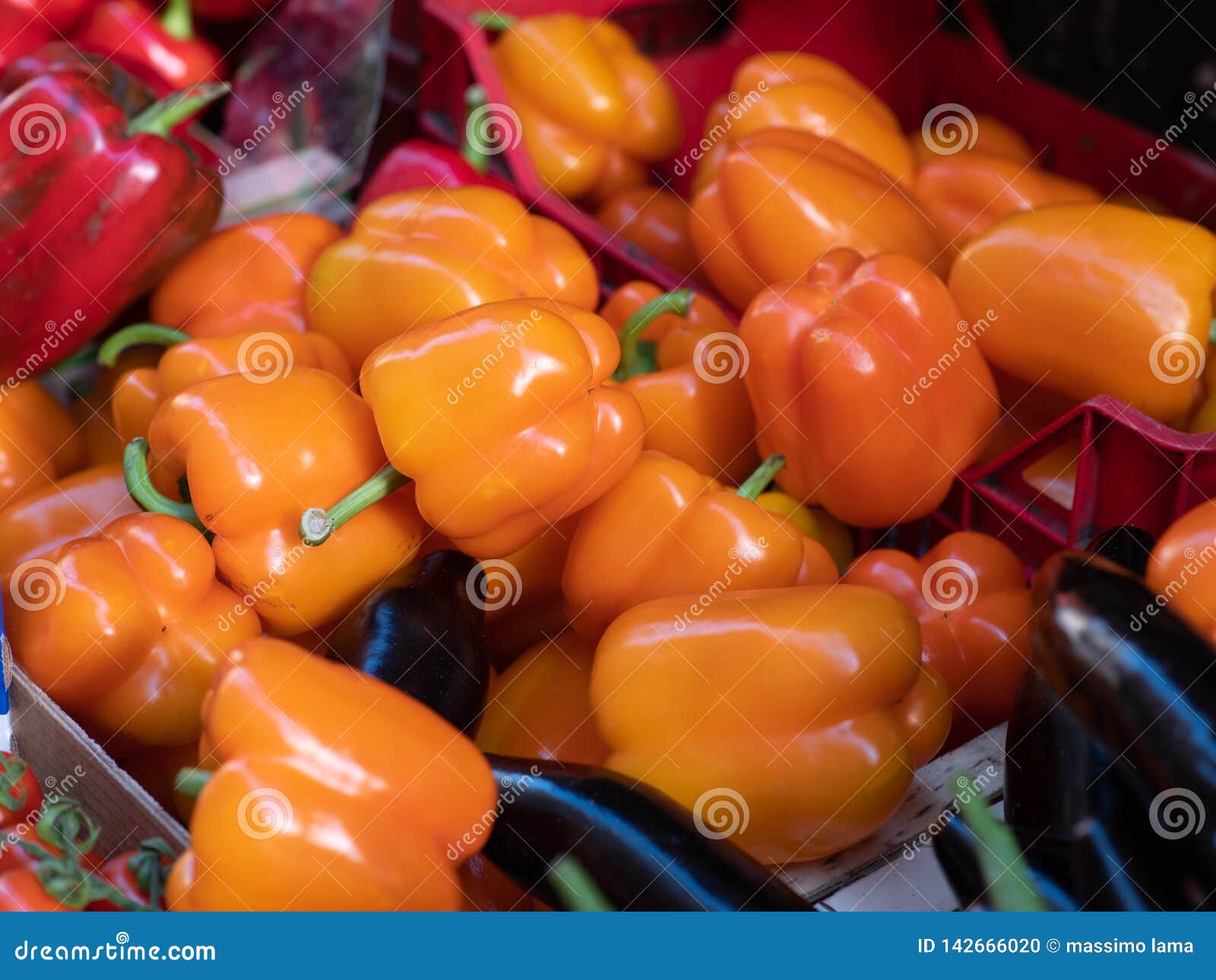 Bright Red Capsicum Annuum Cubanelle Pepper, Cuban Pepper, Italian ...
