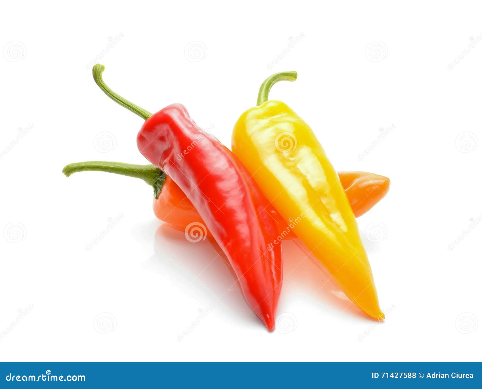 Colored peppers stock photo. Image of paper, peper, healthy - 71427588