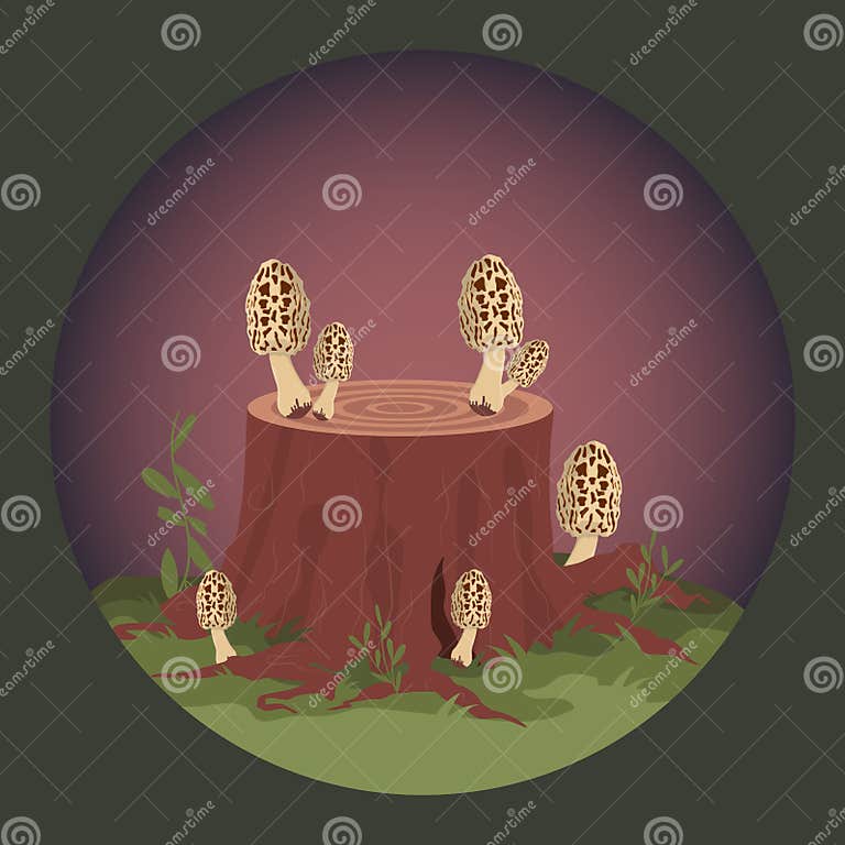 Colored Realistic Mushroom on Log Vector Stock Illustration ...