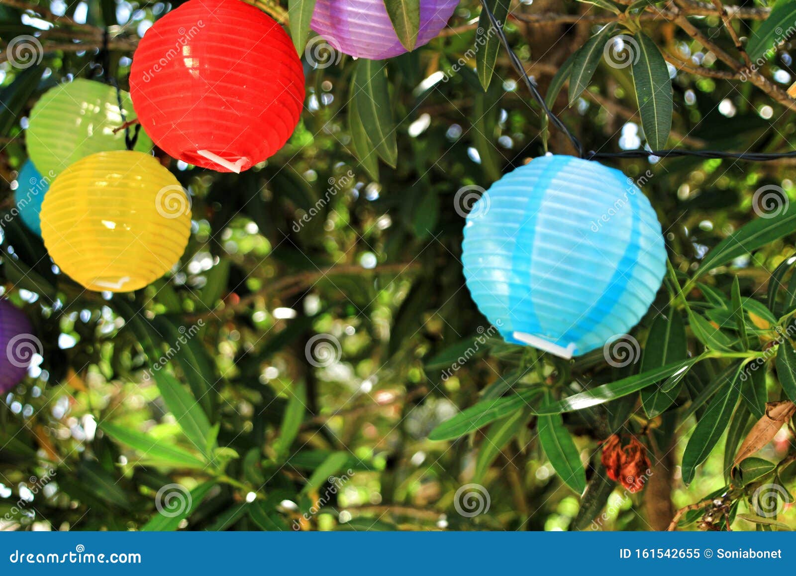 Colored Round Lanterns Hanging on a Tree Stock Image - Image of summer ...
