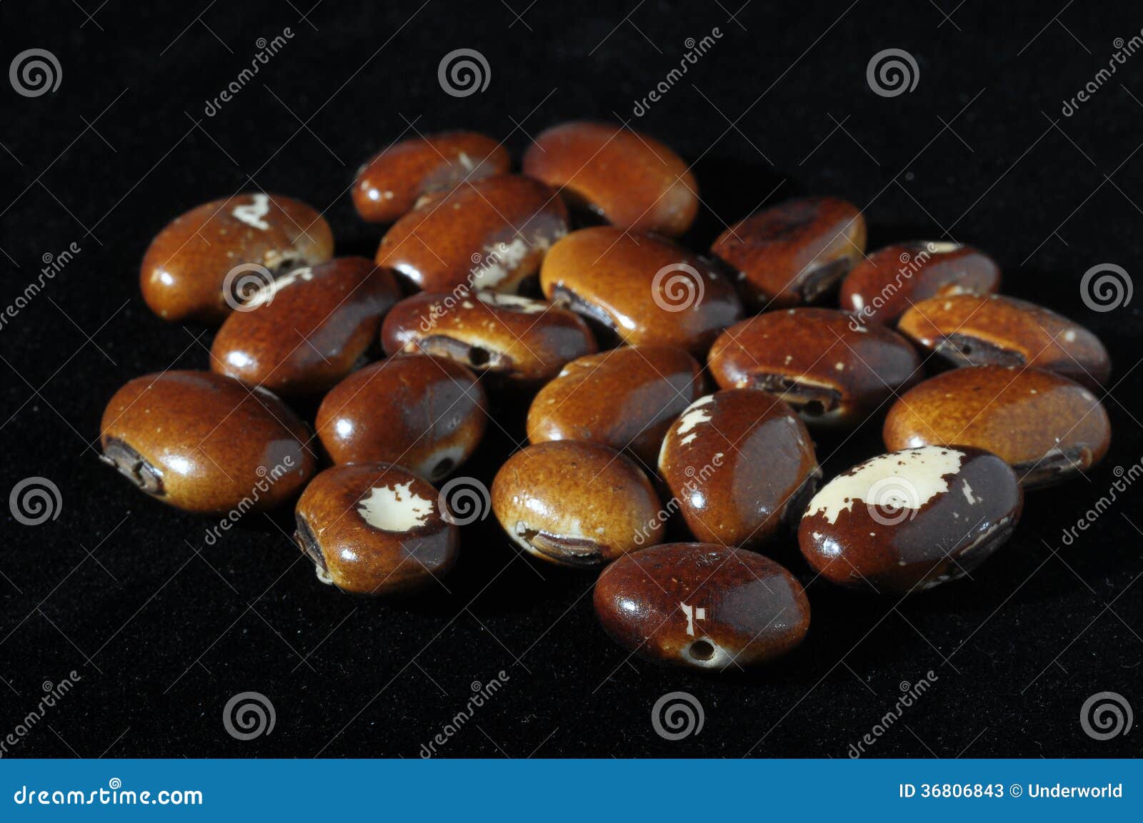 Colored Round Seeds stock image. Image of bright, handmade - 36806843