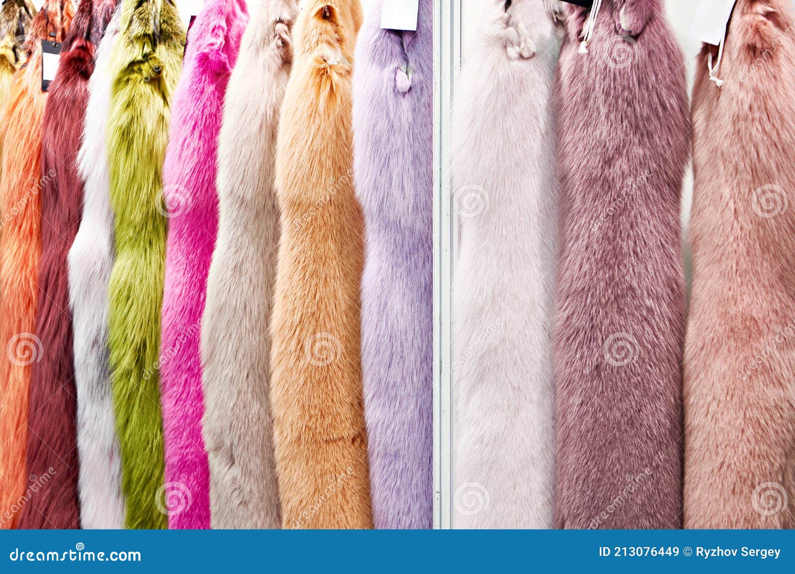 Colored Samples of Natural Fur in Store Stock Image - Image of retail ...