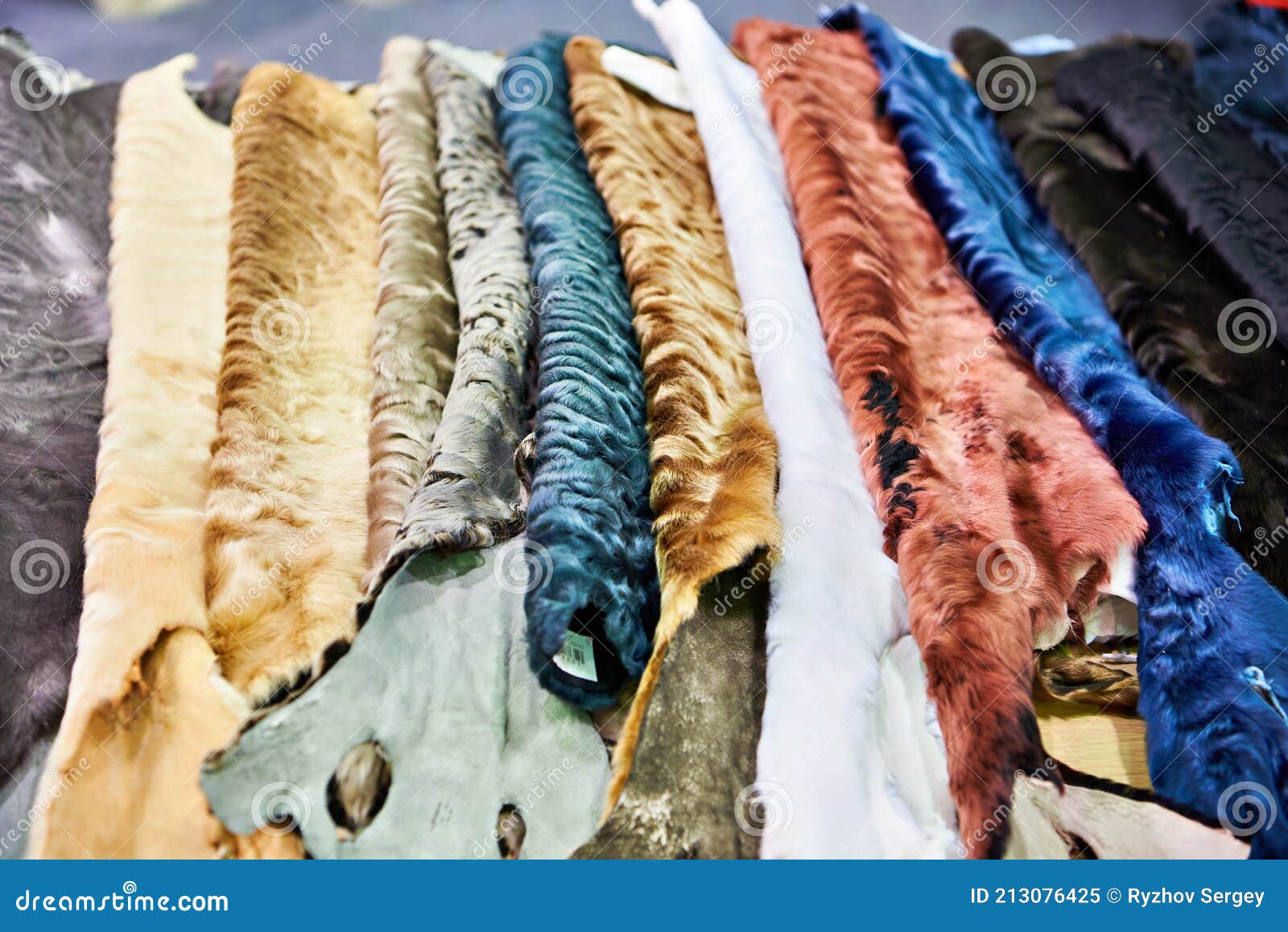 Colored Samples of Natural Fur in Store Stock Image - Image of ...