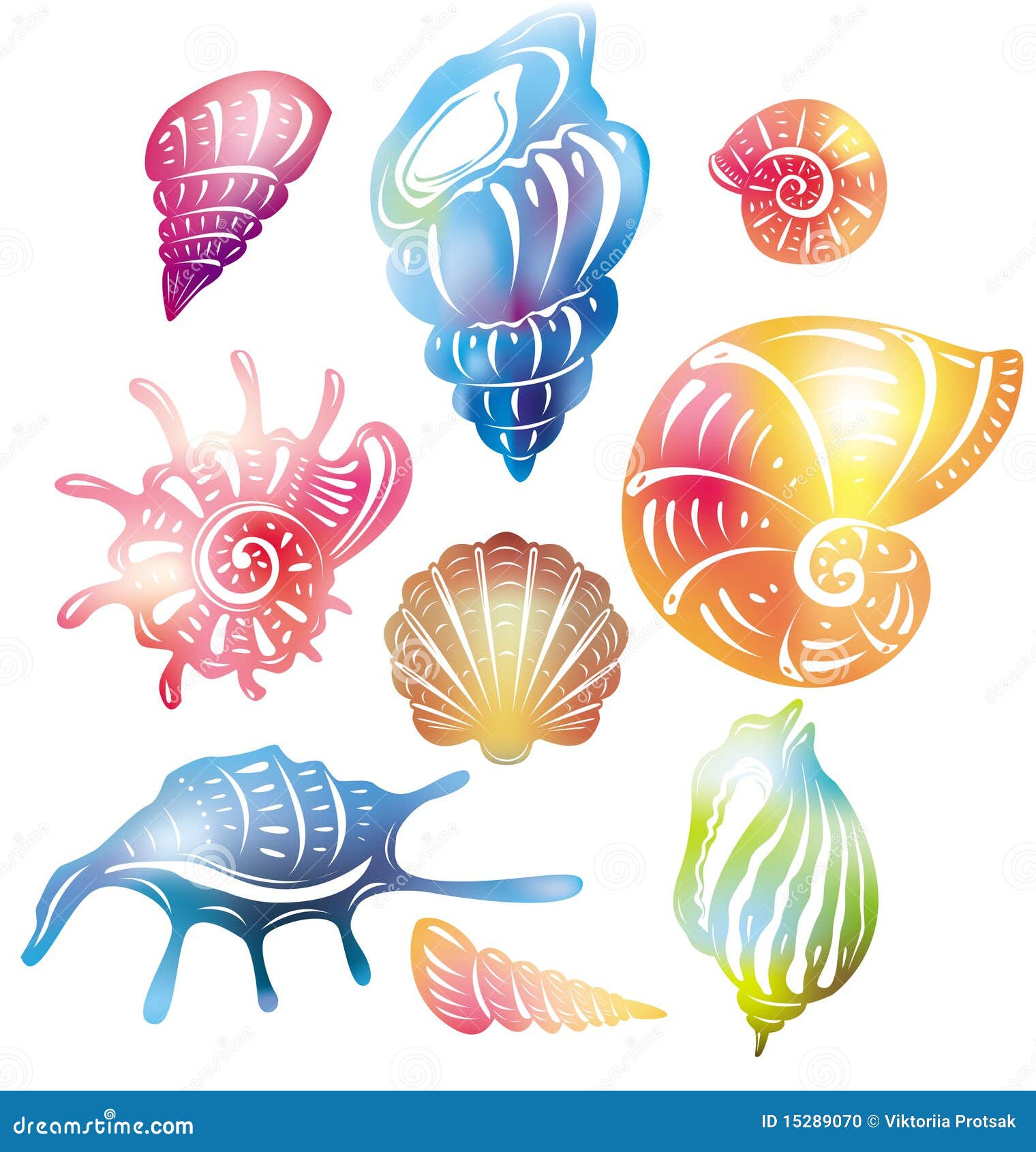 Colored seashell stock vector. Illustration of decor - 15289070