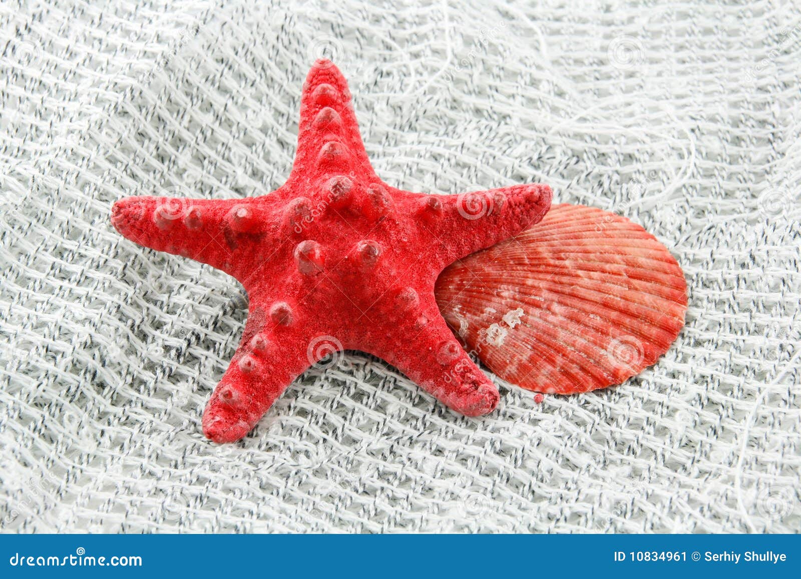 Colored Seashell on a Fishing Net Stock Image - Image of mollusk ...