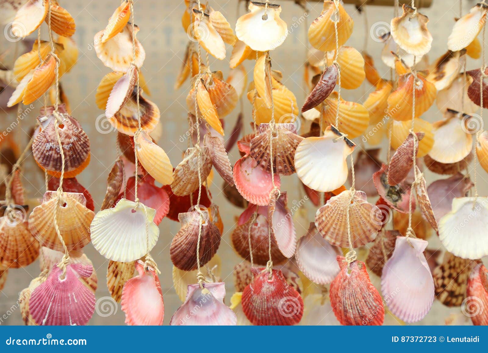 Colored shells stock image. Image of accessories, holidays - 87372723