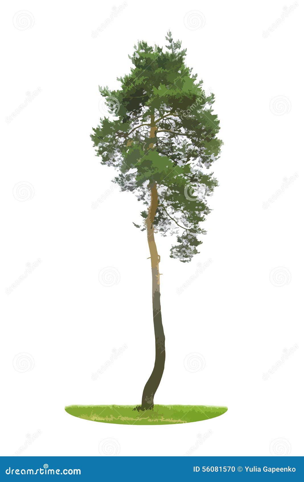 Colored Silhouette Tree Isolated on White Stock Vector - Illustration ...