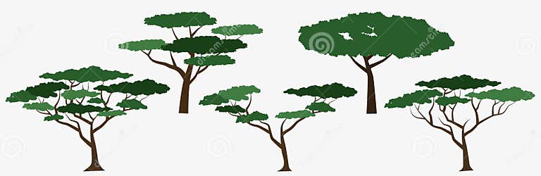 Colored Silhouettes of African Trees. African Trees Stock Vector ...