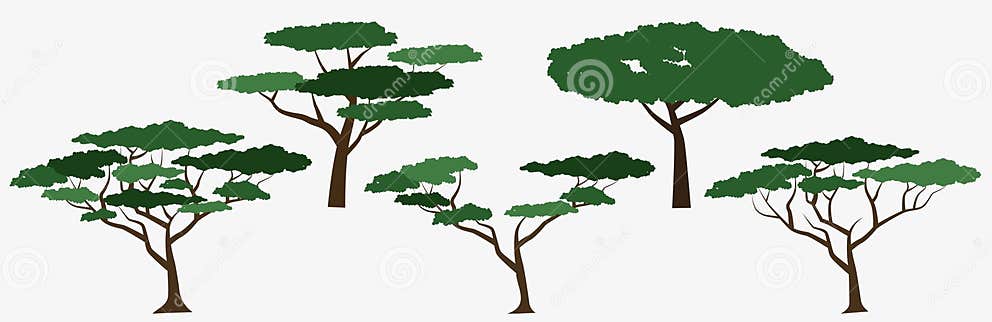 Colored Silhouettes of African Trees. African Trees Stock Vector ...