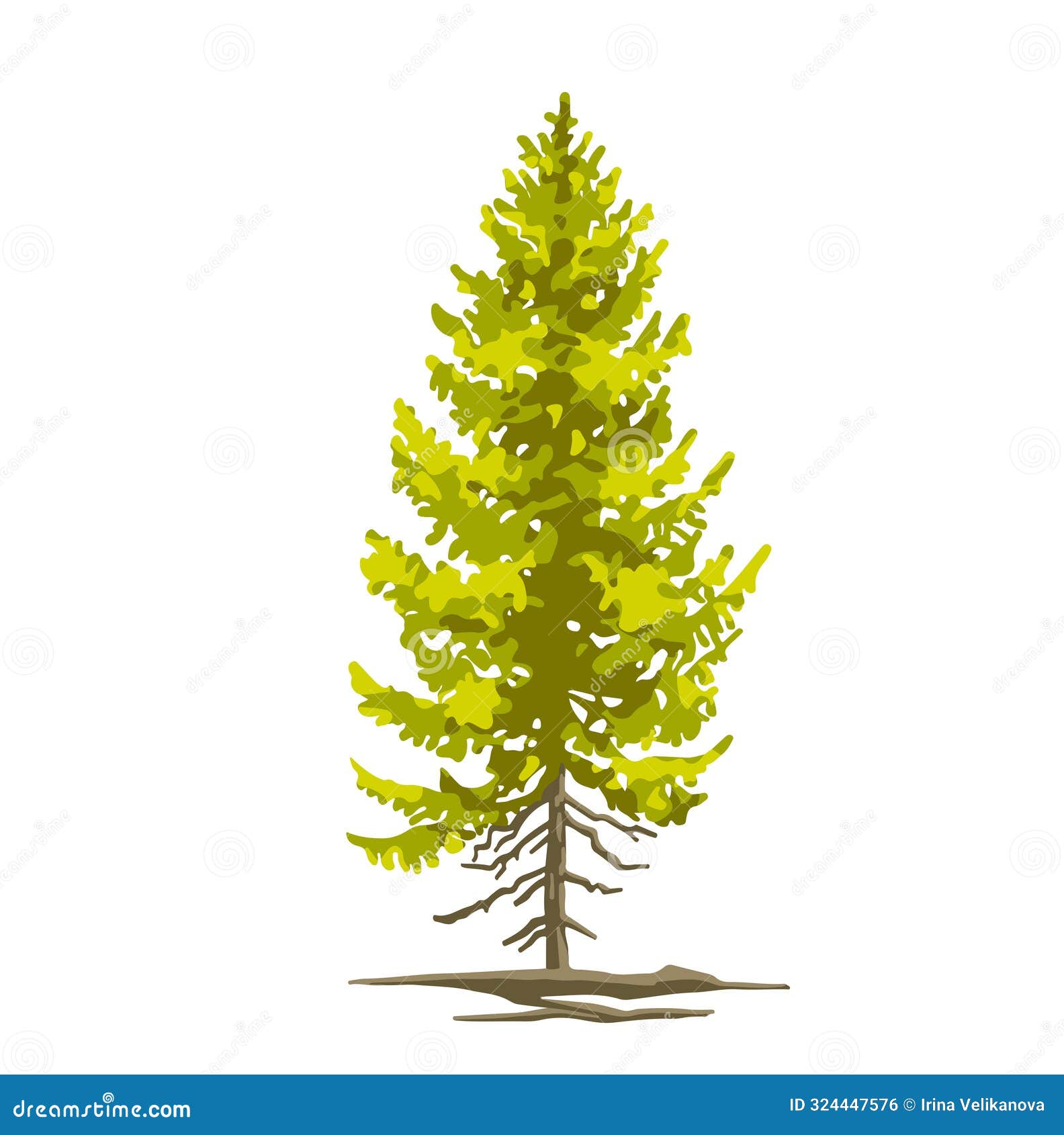 Colored Simple Tree Illustration Fir Tree Pine Vector Stock Vector ...